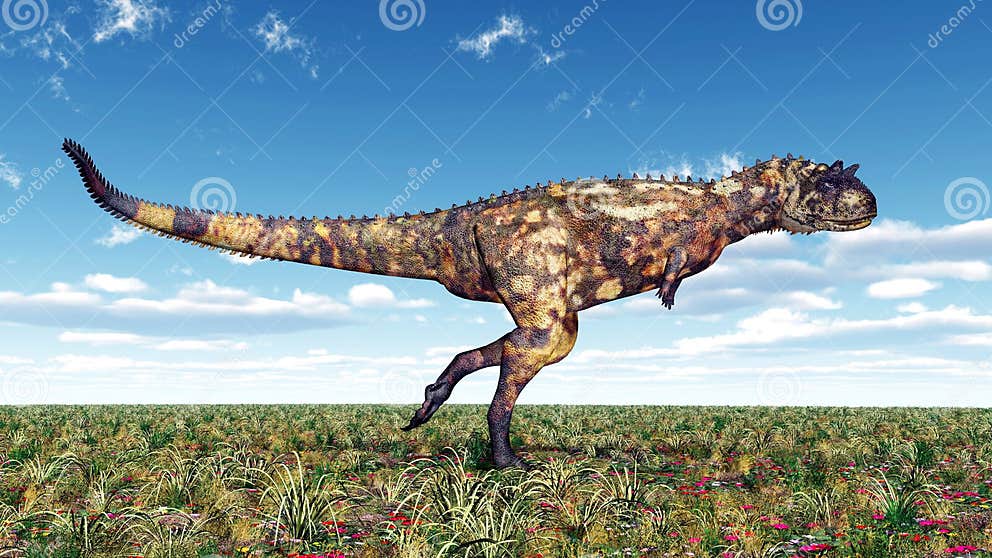 Carnotaurus Do Dinossauro Ilustração Stock Ilustração De épocas 48987507