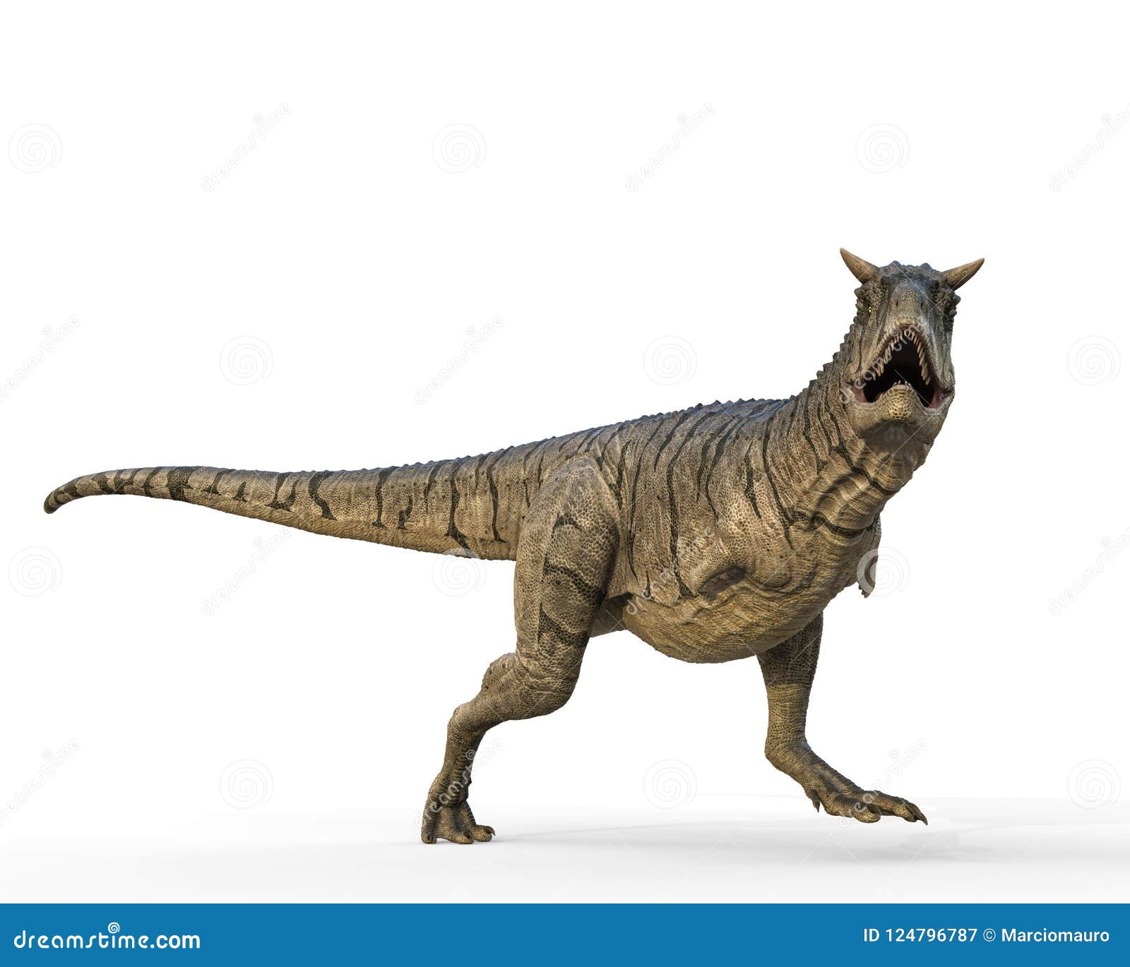 Carnotaurus in a White Background Stock Illustration - Illustration of ...