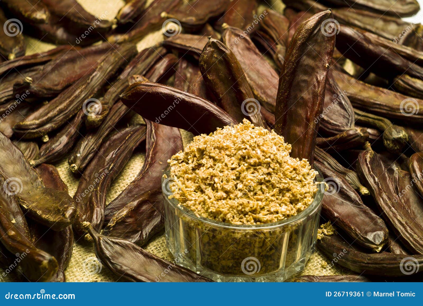 The Carob (Ceratonia Siliqua) Stock Image - Image of ingredient, plant ...