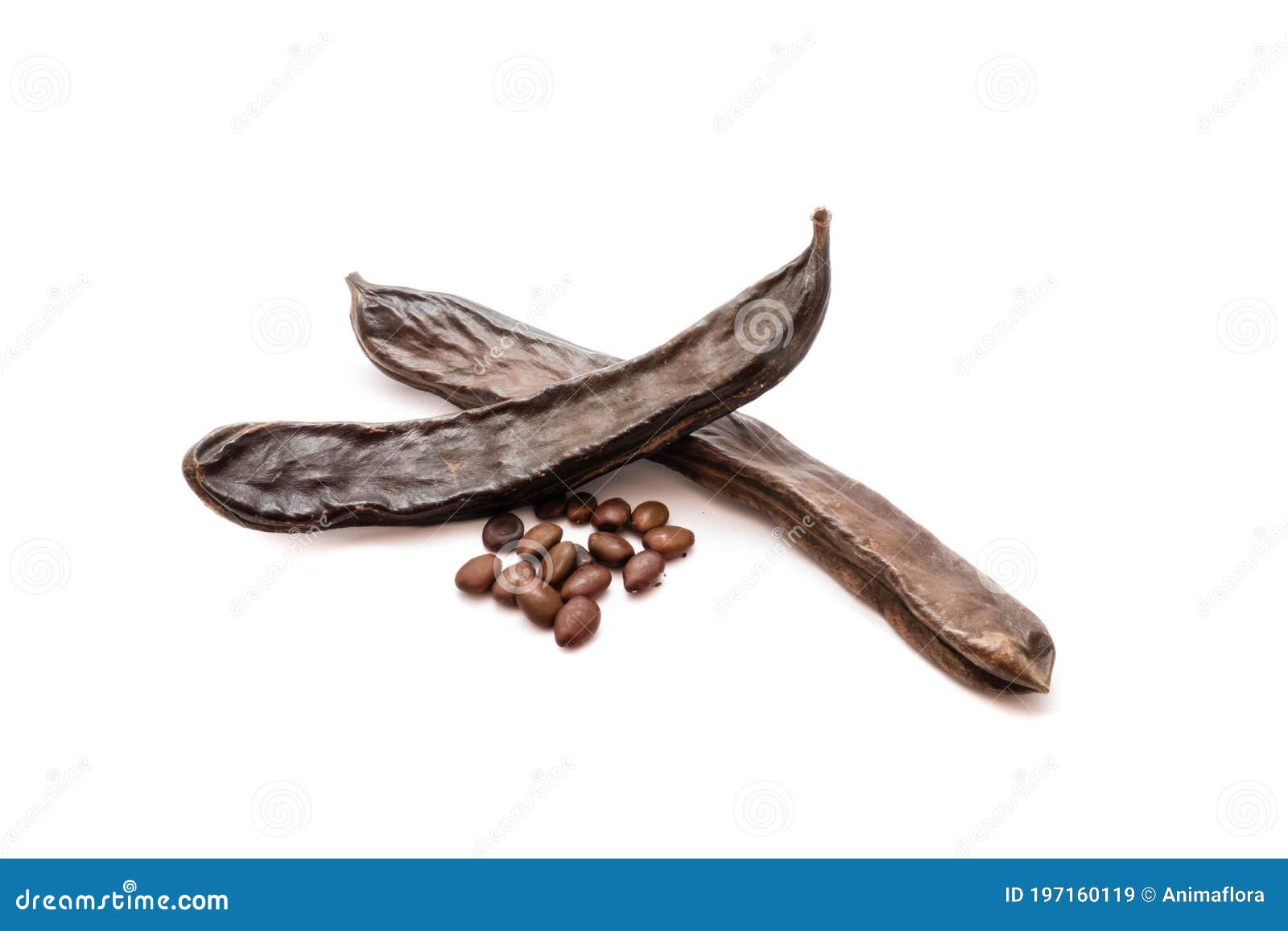 Carob Fruit Isolated on White Background Stock Image - Image of nature ...