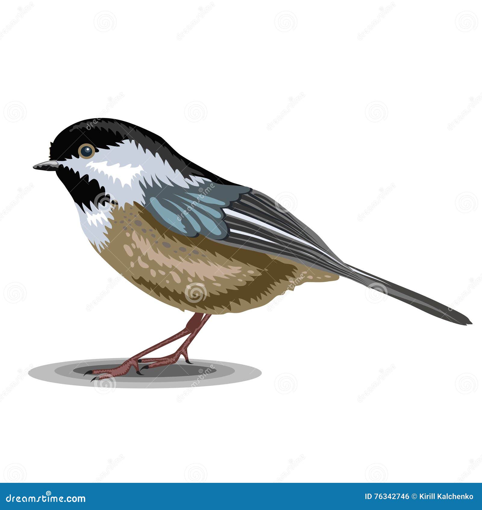 Chickadees Cartoons, Illustrations & Vector Stock Images - 444 Pictures ...