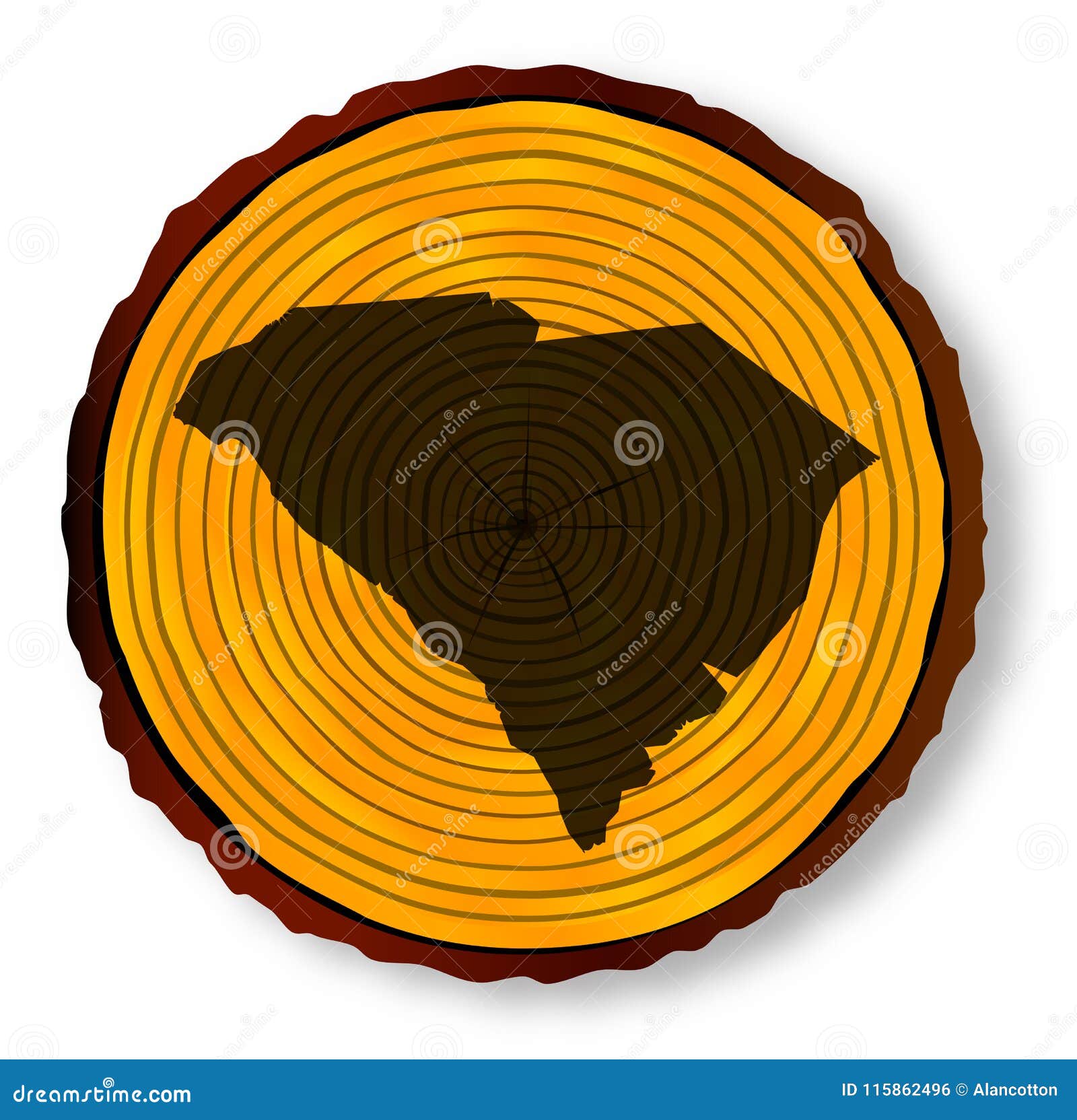 Carolina Map on Timber Du Sud Illustration de Vecteur - Illustration du ...