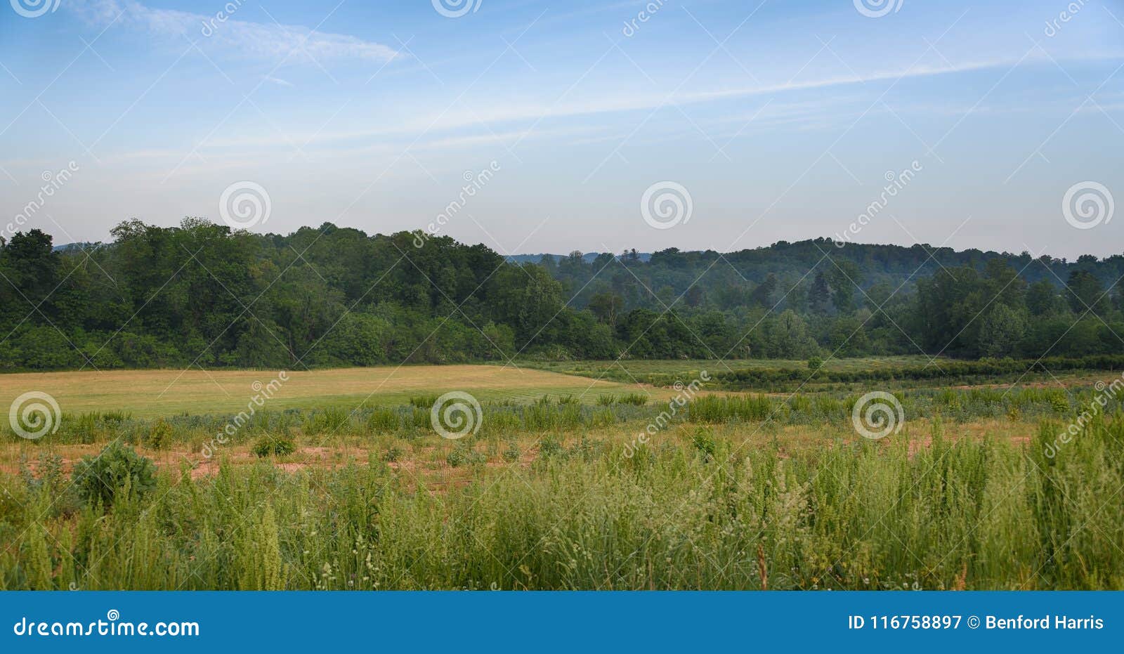 `carolina On My Mind` American Tour Series Stock Image Image Of Green Slices 116758897