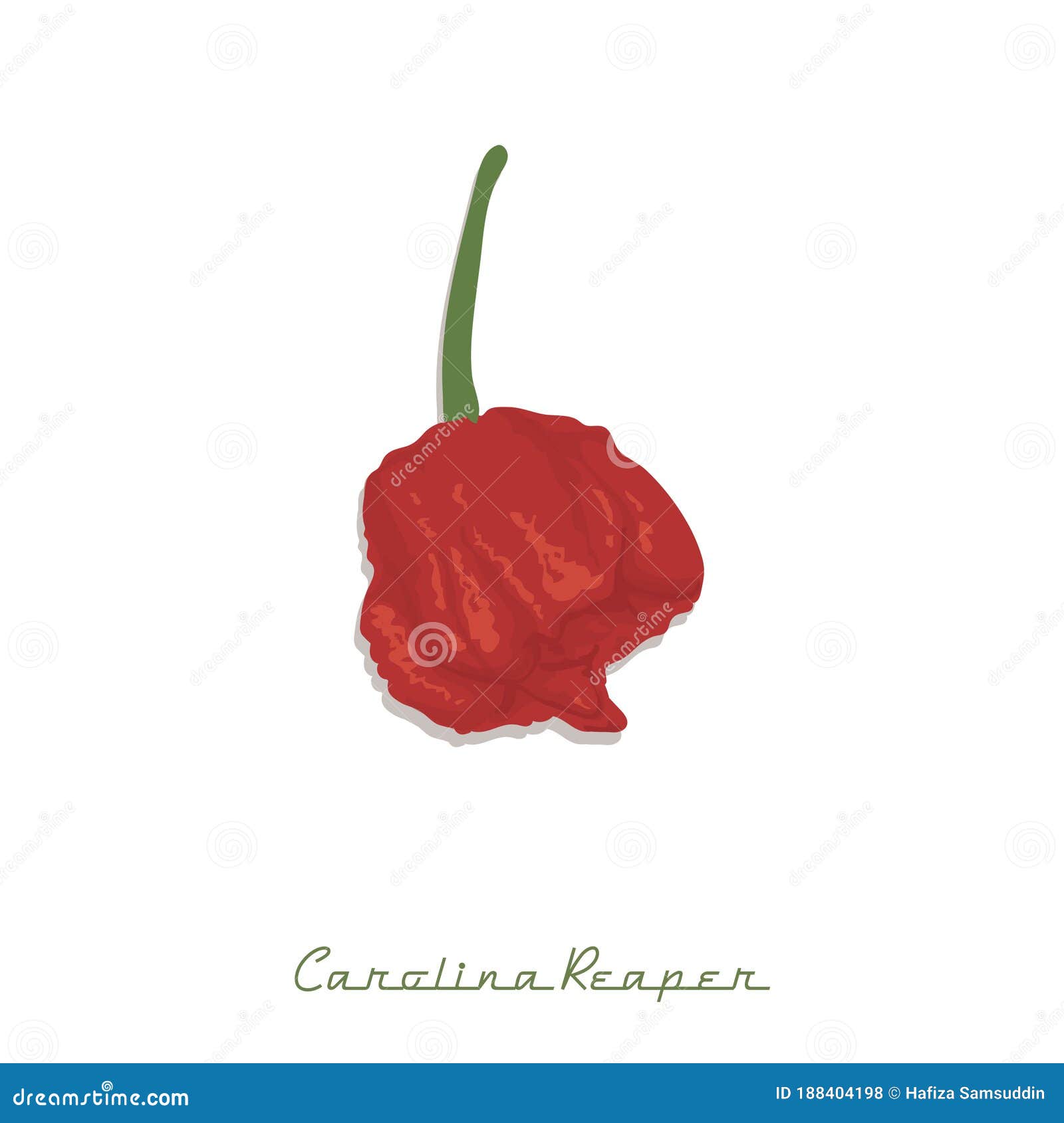 Carolina Reaper Pepper. Vector Illustration Decorative Design Stock ...