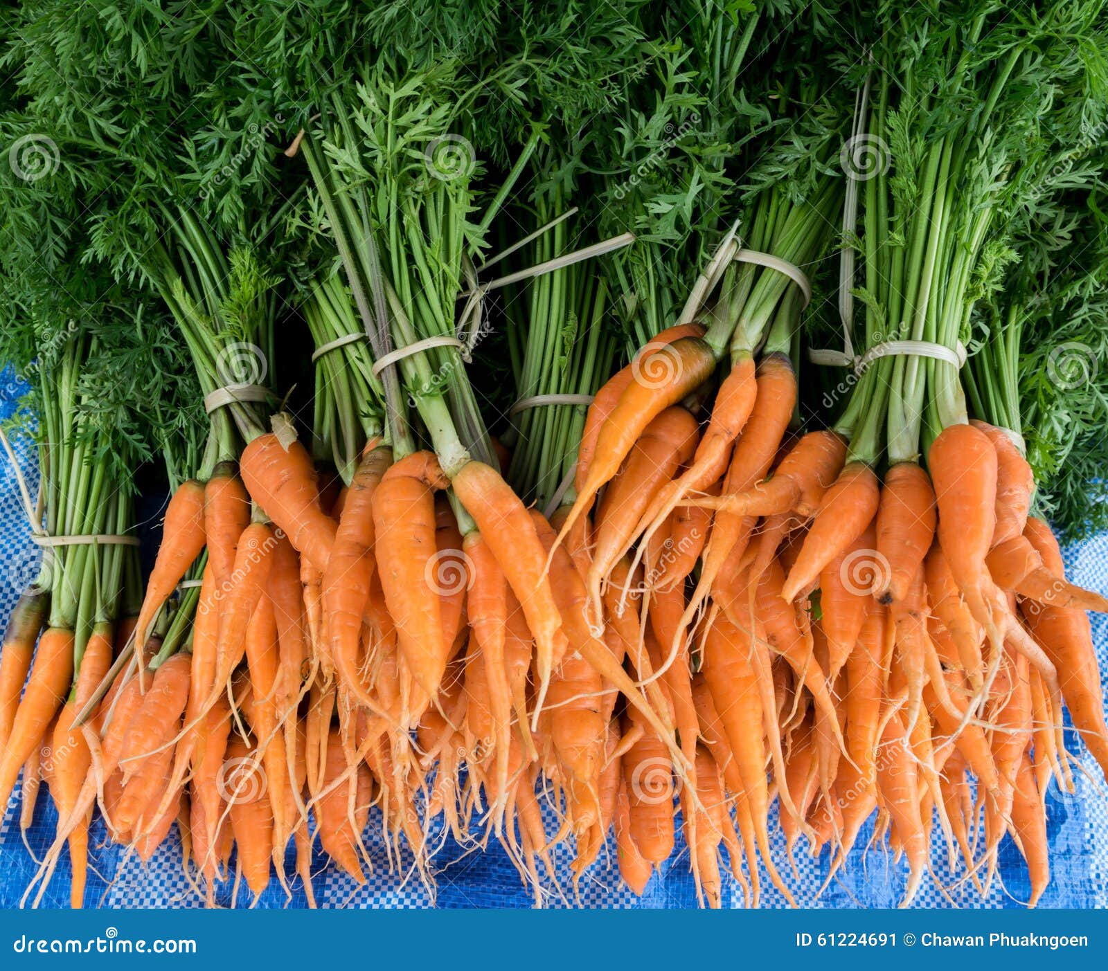 Carot in the Market Fresh and Organic Vegetable Stock Image - Image of ...