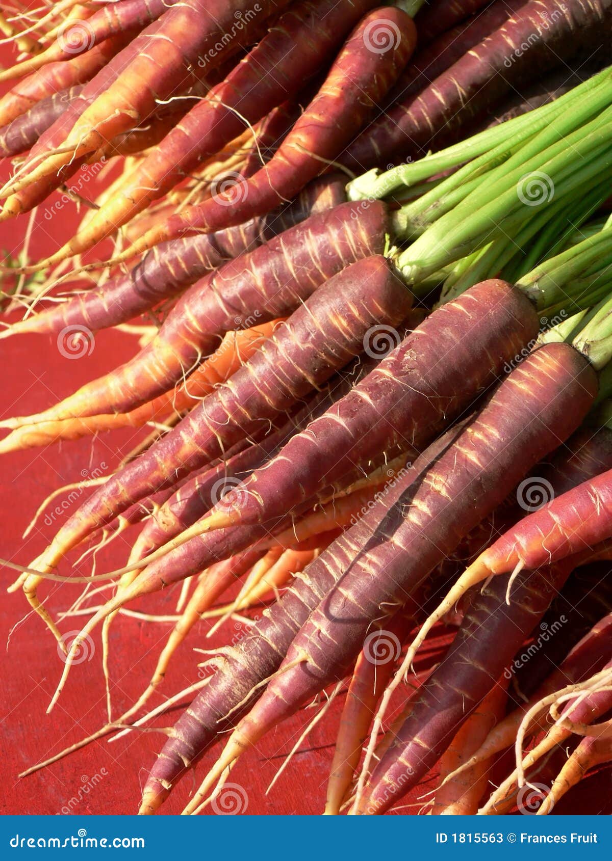 Carote Rosse, Arancioni E Viola Immagine Stock - Immagine di ...