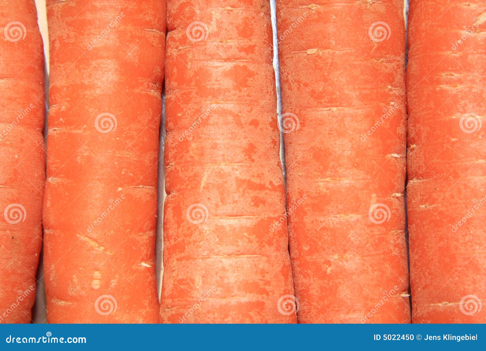 Carots stock photo. Image of food, dietetic, uncooked - 5022450