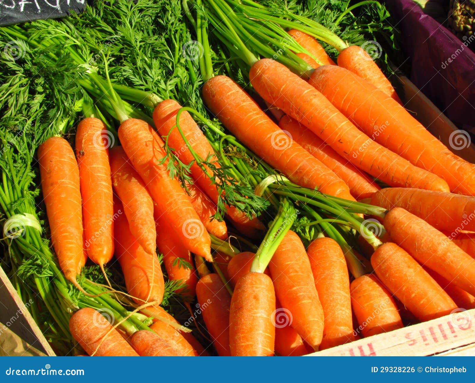 Carots at the market stock photo. Image of color, food - 29328226