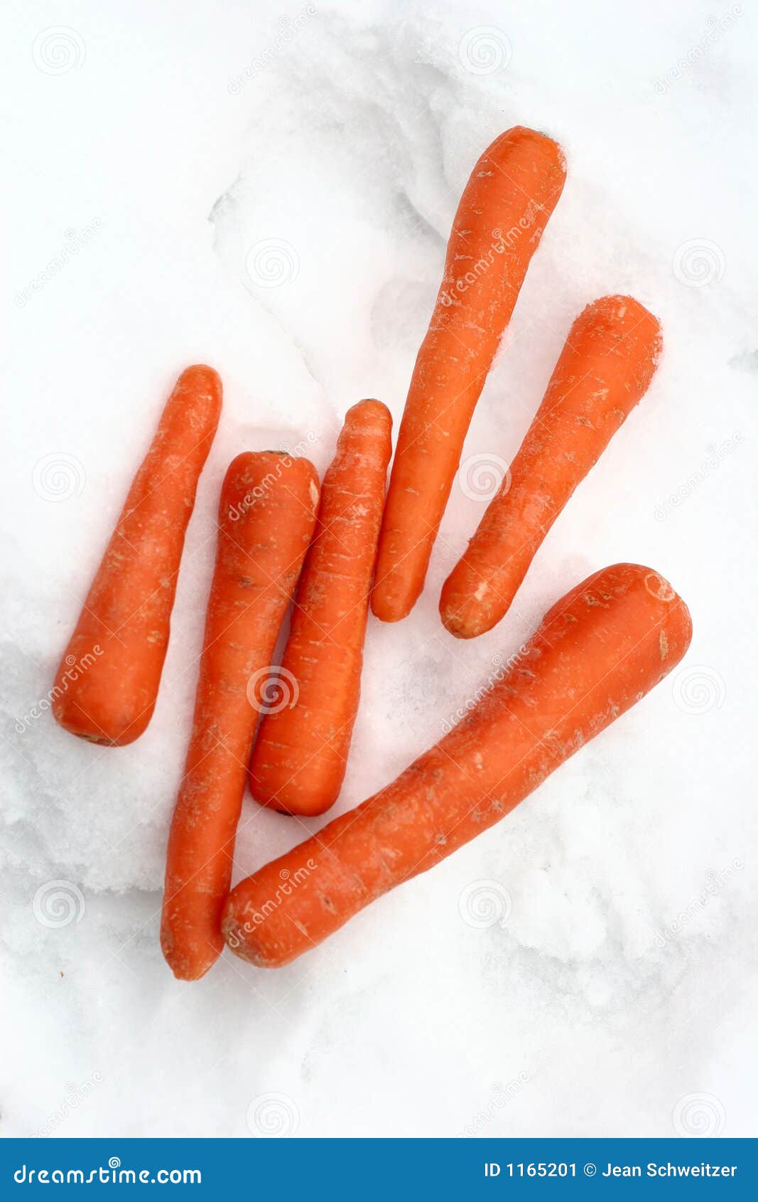 Carots on snow stock image. Image of like, conservation - 1165201