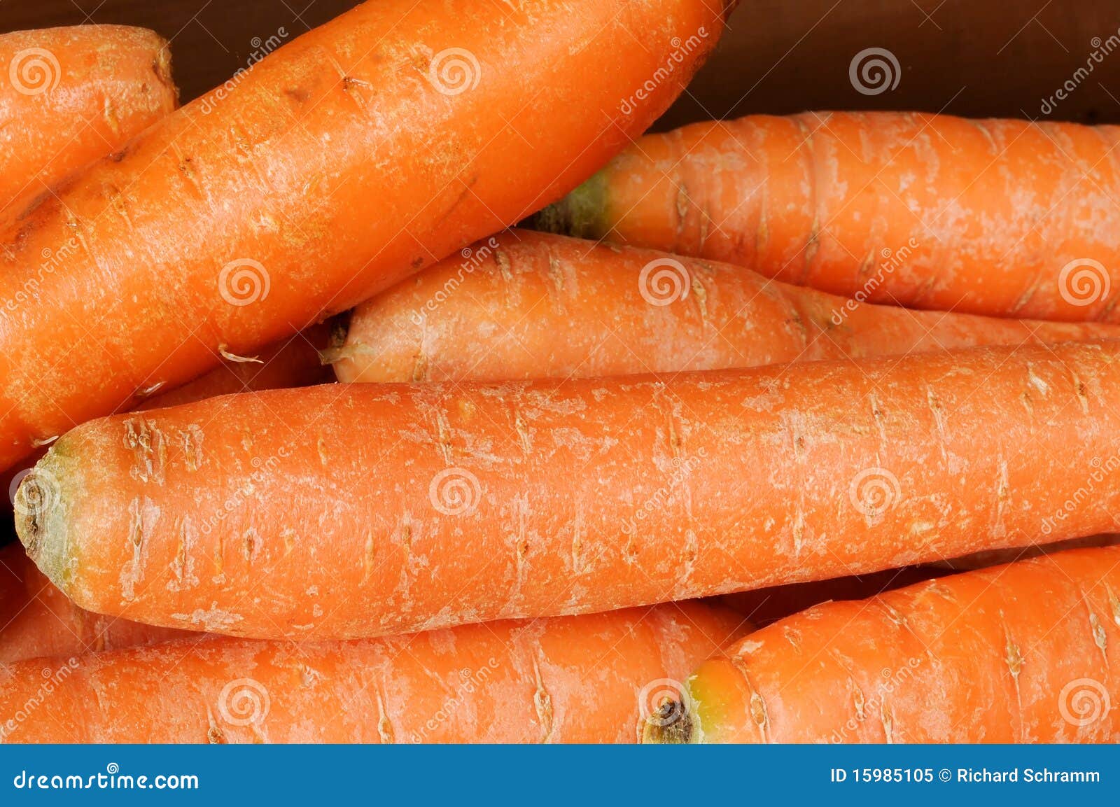 Carotts stock image. Image of food, carotts, nature, carott - 15985105