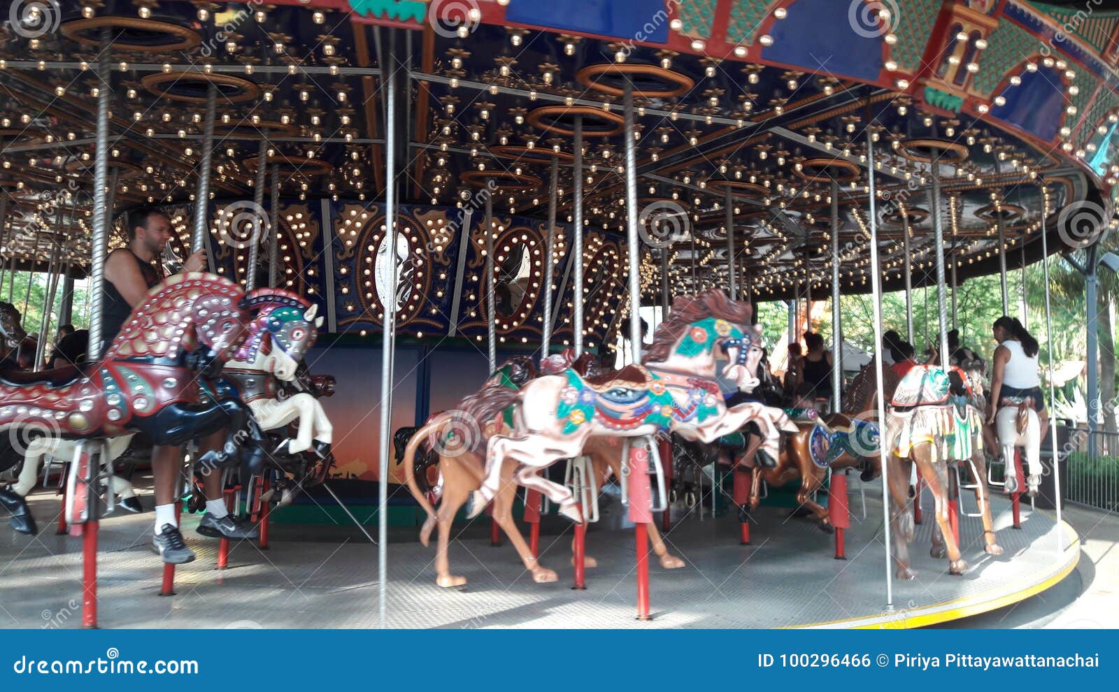 Carousel editorial photo. Image of florida, carousel - 100296466