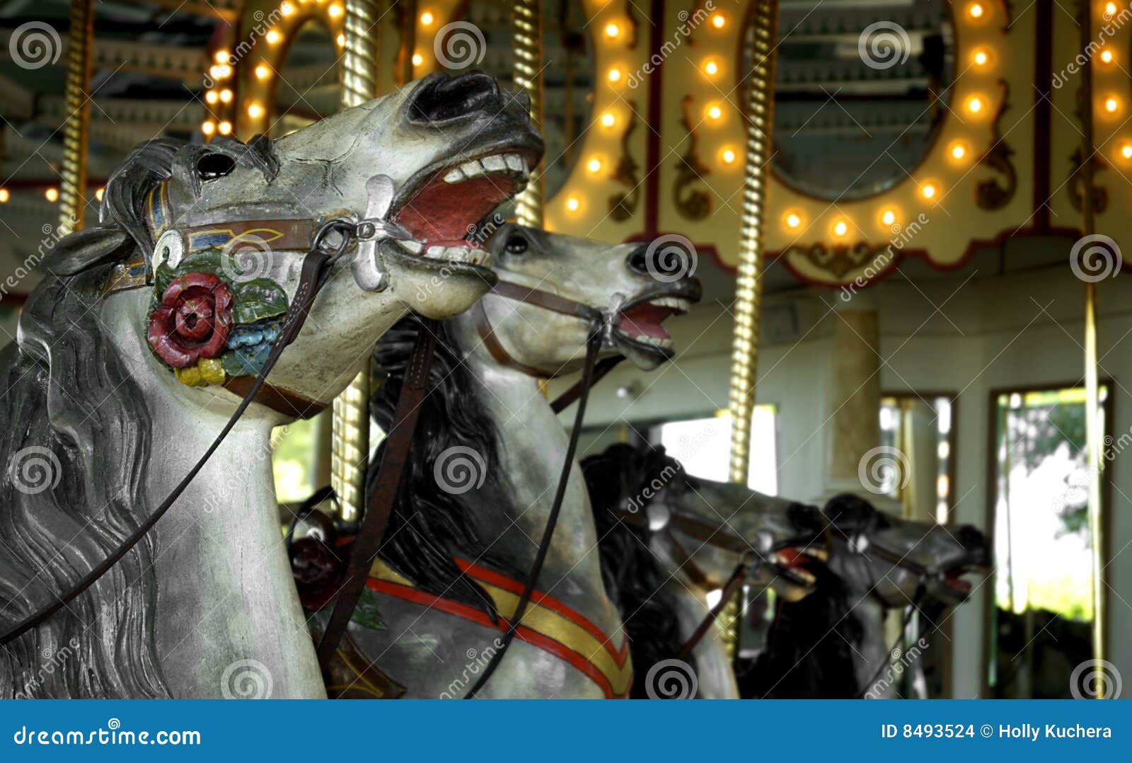 Carousel Horses - Heads in Row Stock Photo - Image of fashioned, horse ...