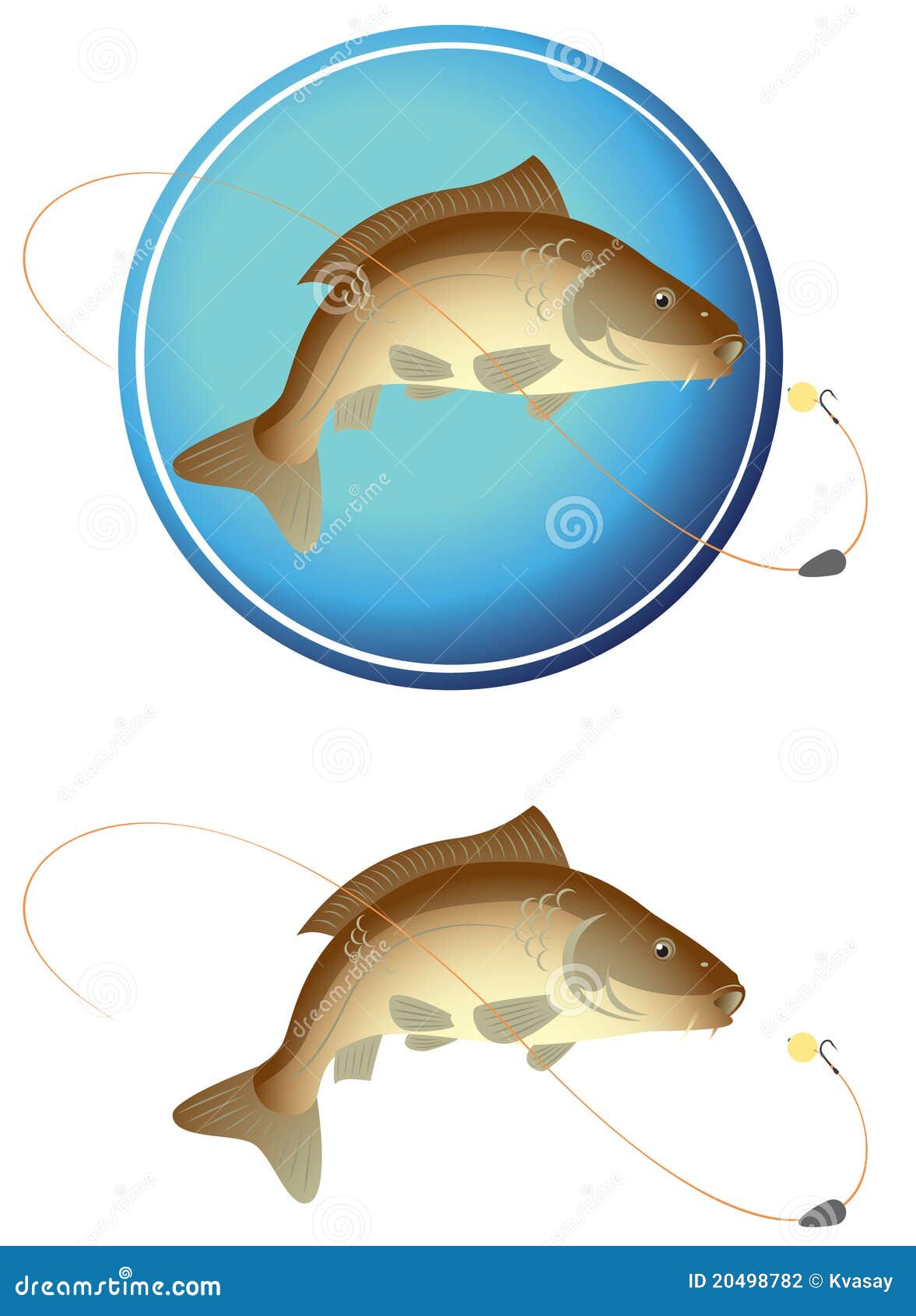 Carp stock vector. Illustration of fisherman, freshwater - 20498782