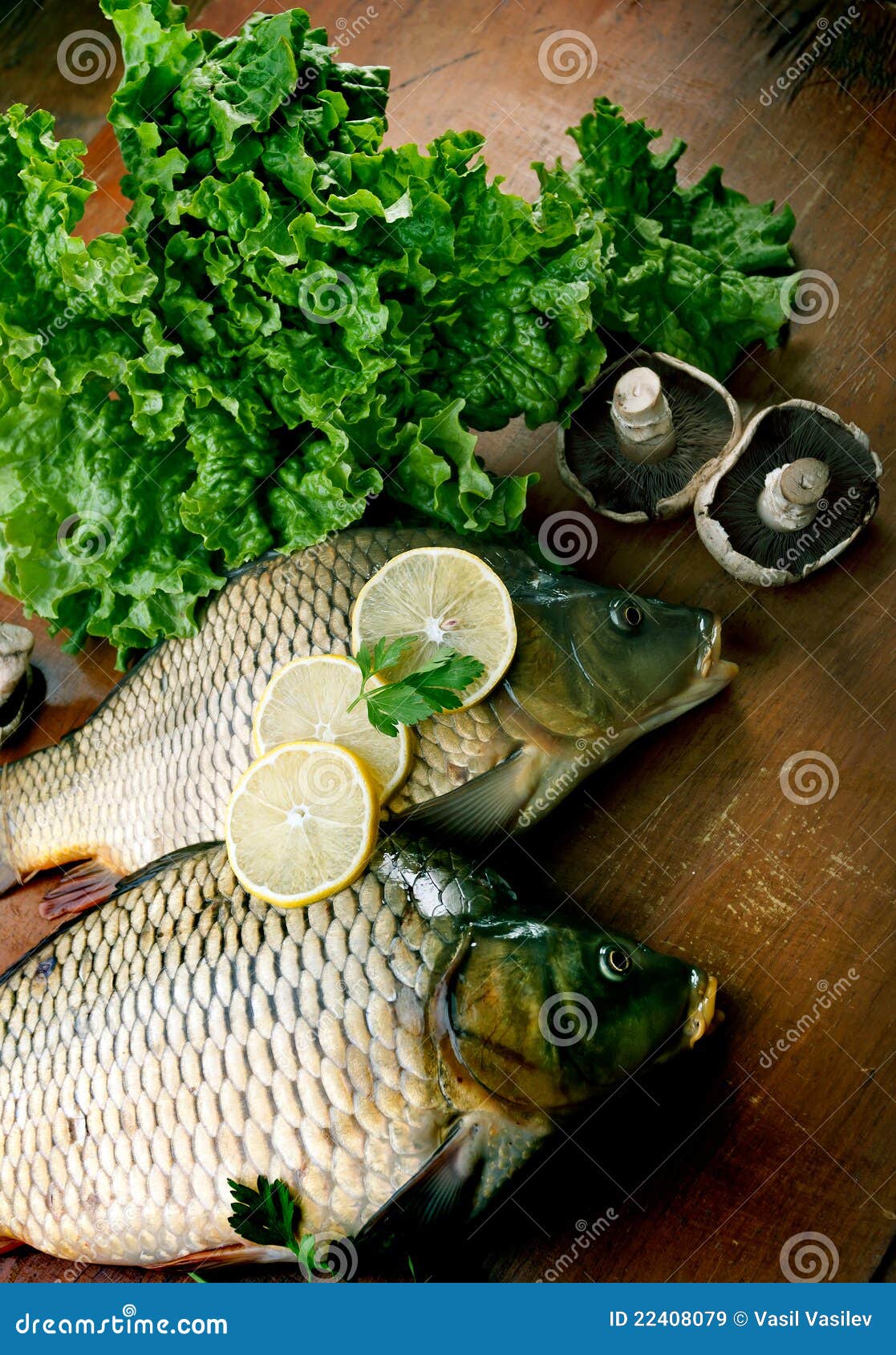 Carp stock image. Image of diet, interior, kitchen, meat - 22408079