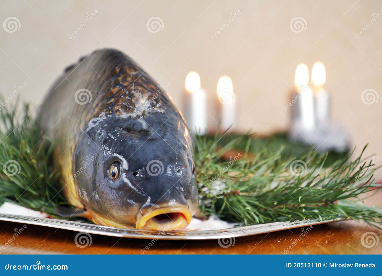 Carp and Christmas stock photo. Image of animal, life - 20513110