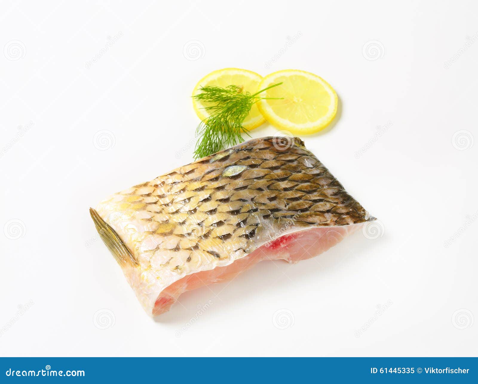 Carp fillet stock image. Image of condiment, healthy - 61445335