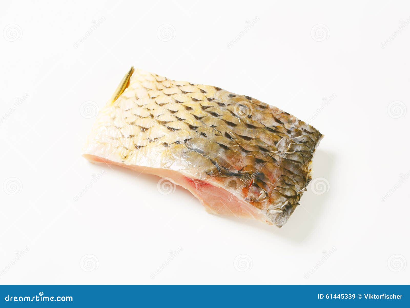 Carp fillet stock image. Image of studio, scale, white - 61445339