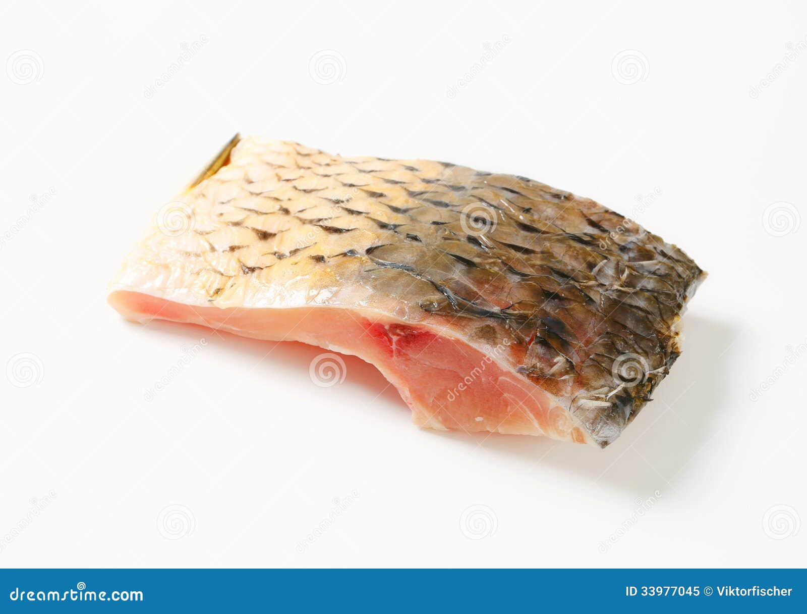Carp fillet stock image. Image of freshwater, fillet - 33977045