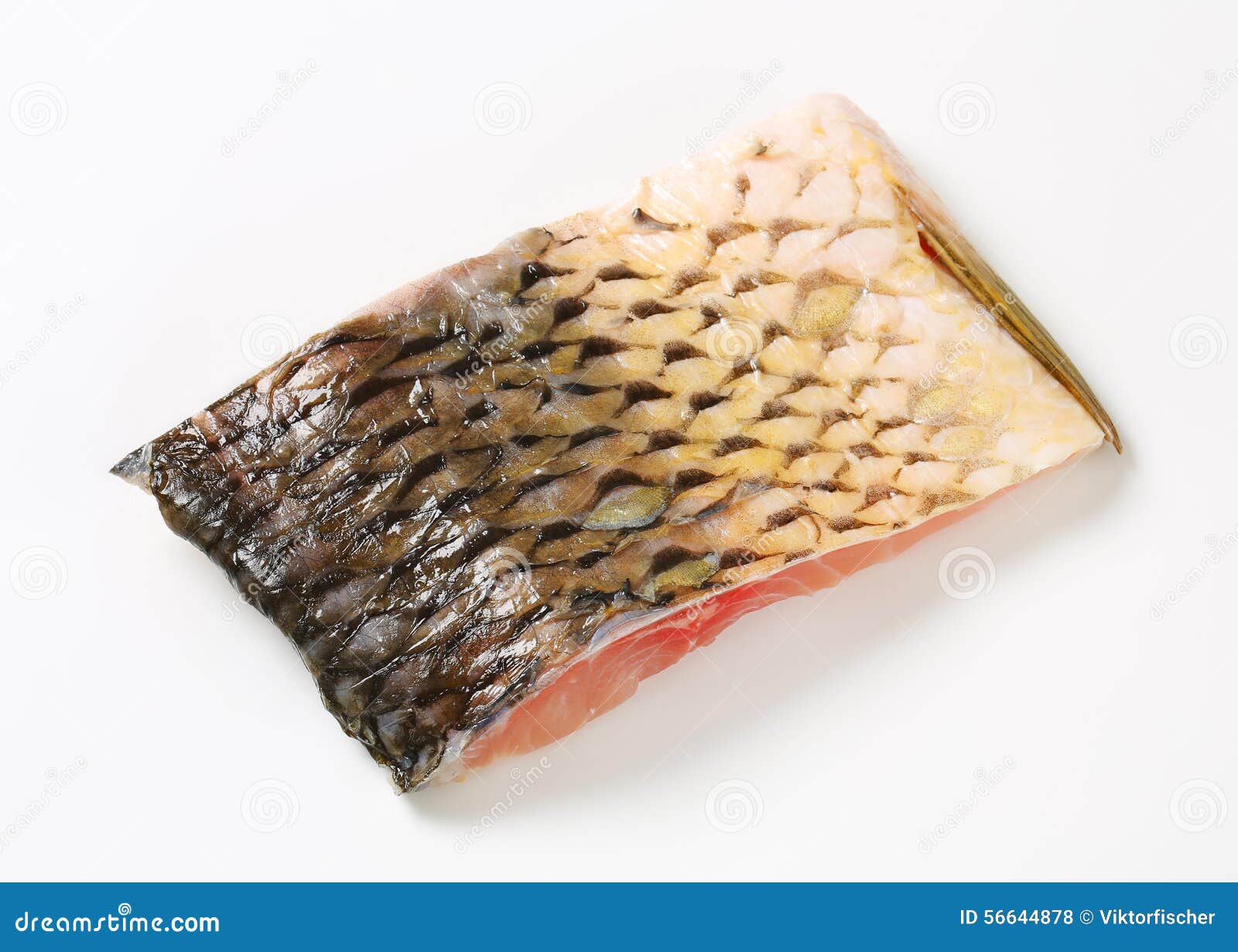 Carp fillet stock photo. Image of fresh, skin, studio - 56644878