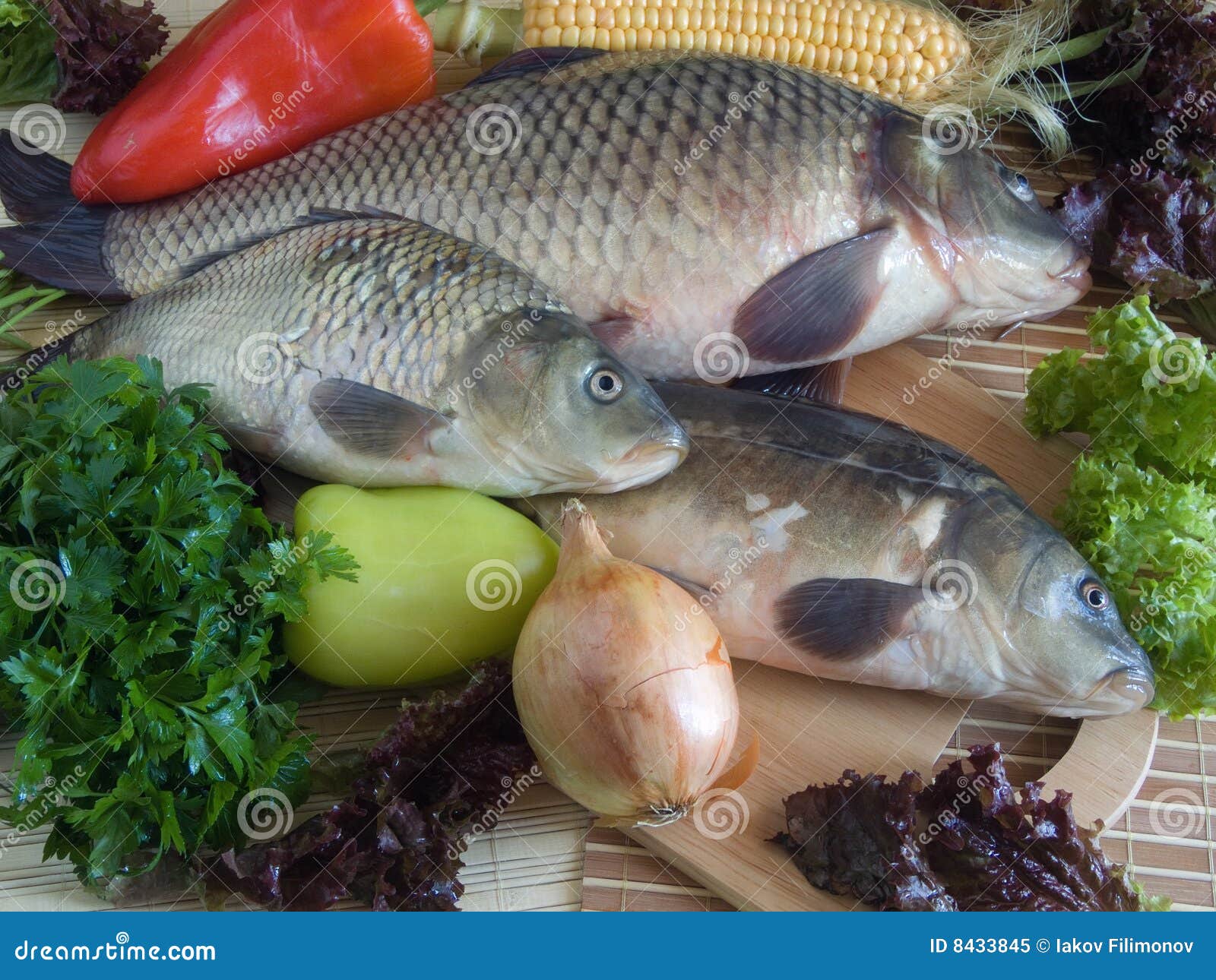 Carp fish stock image. Image of nutrition, fishhead, ingredient - 8433845
