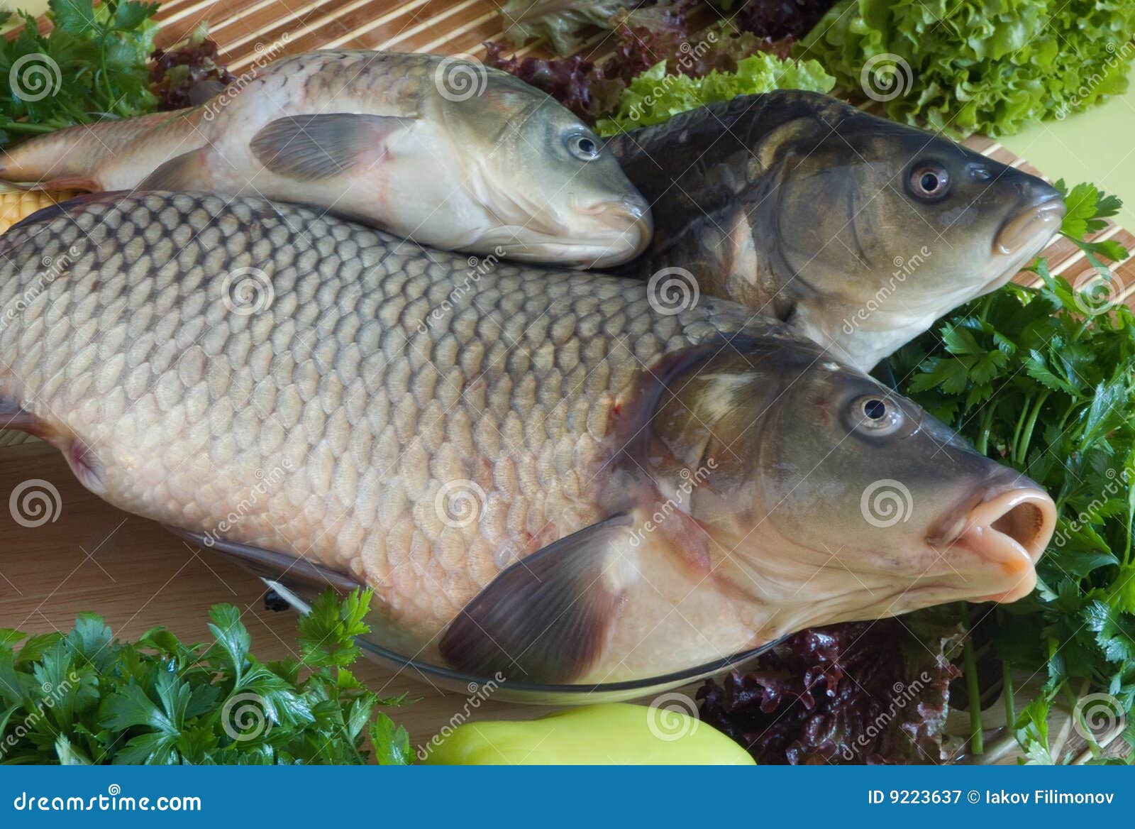 Carp fish stock image. Image of tenderloin, prepared, fish - 9223637