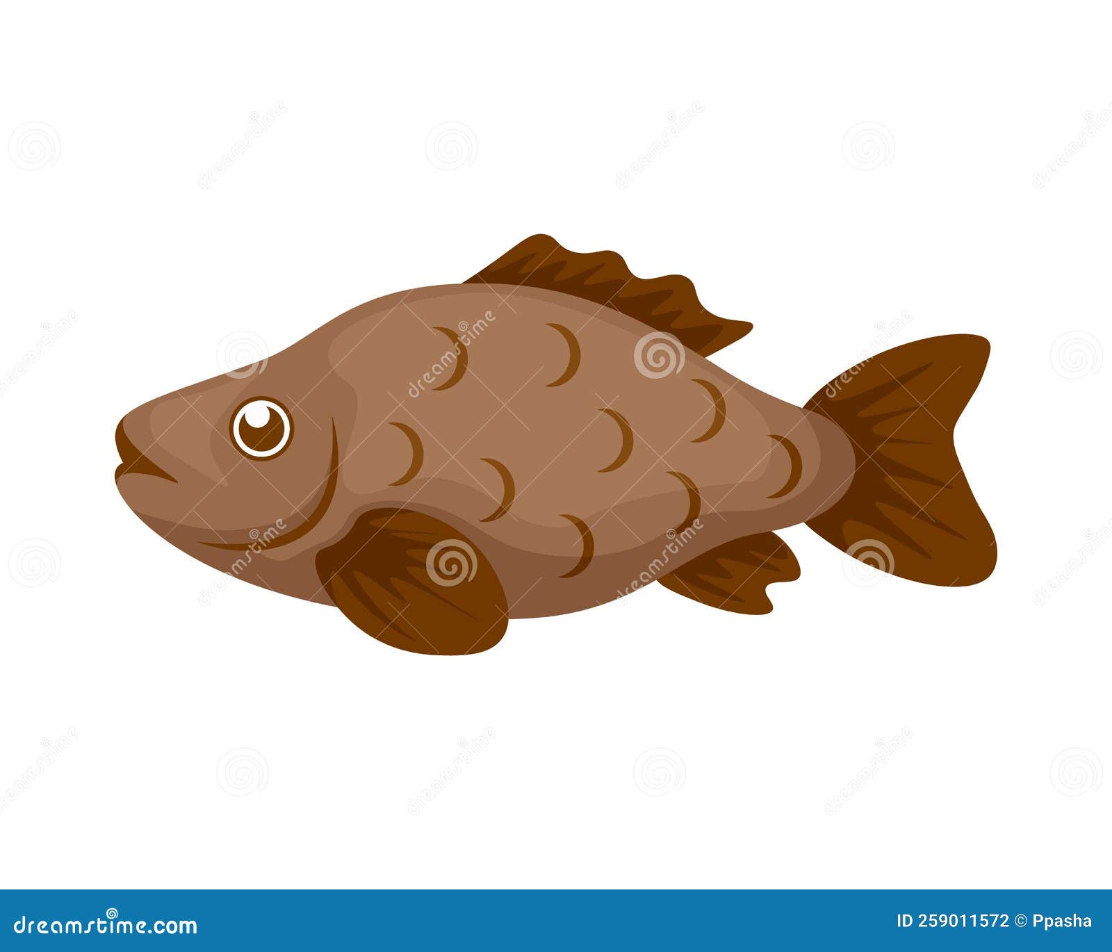Carp Fish. Cartoon Image of a Fish. River Fish Stock Vector ...
