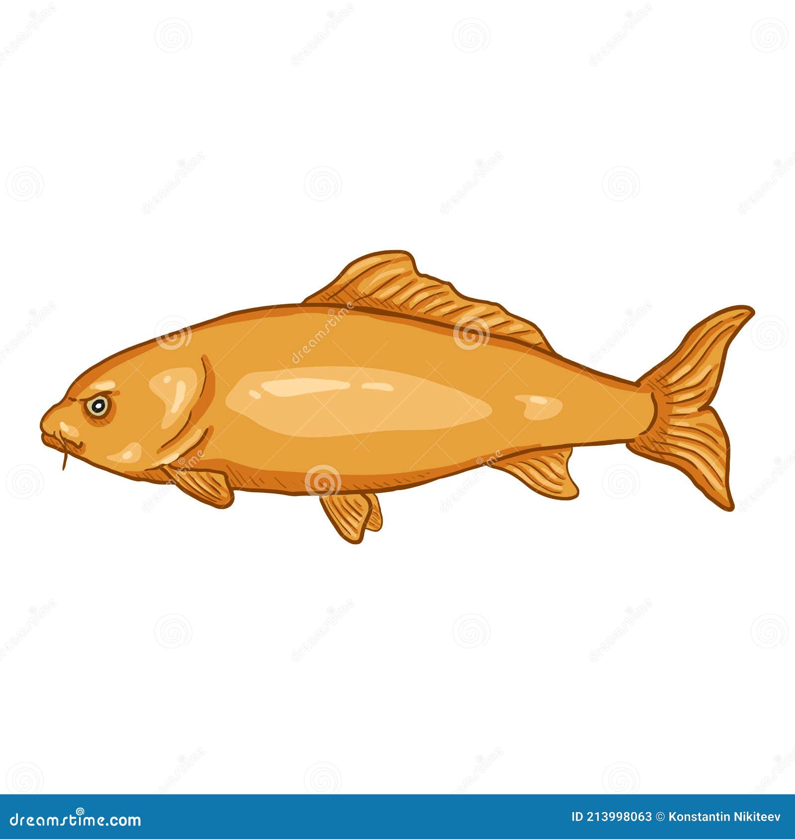 Carp Fish Cartoon Vector Illustration Stock Vector - Illustration of ...