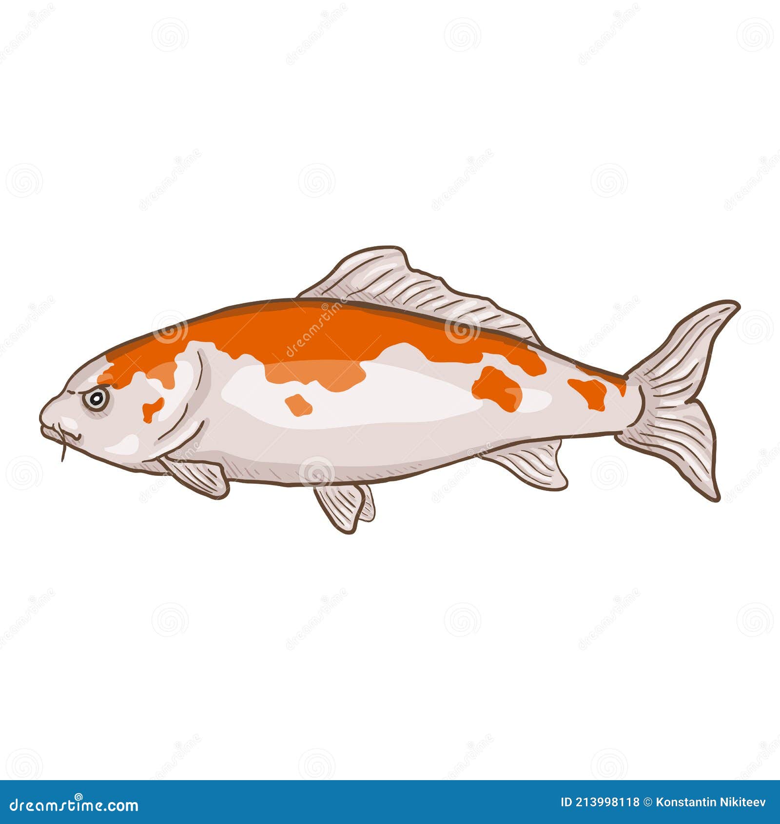 Carp Fish Cartoon Vector Illustration Stock Vector - Illustration of ...