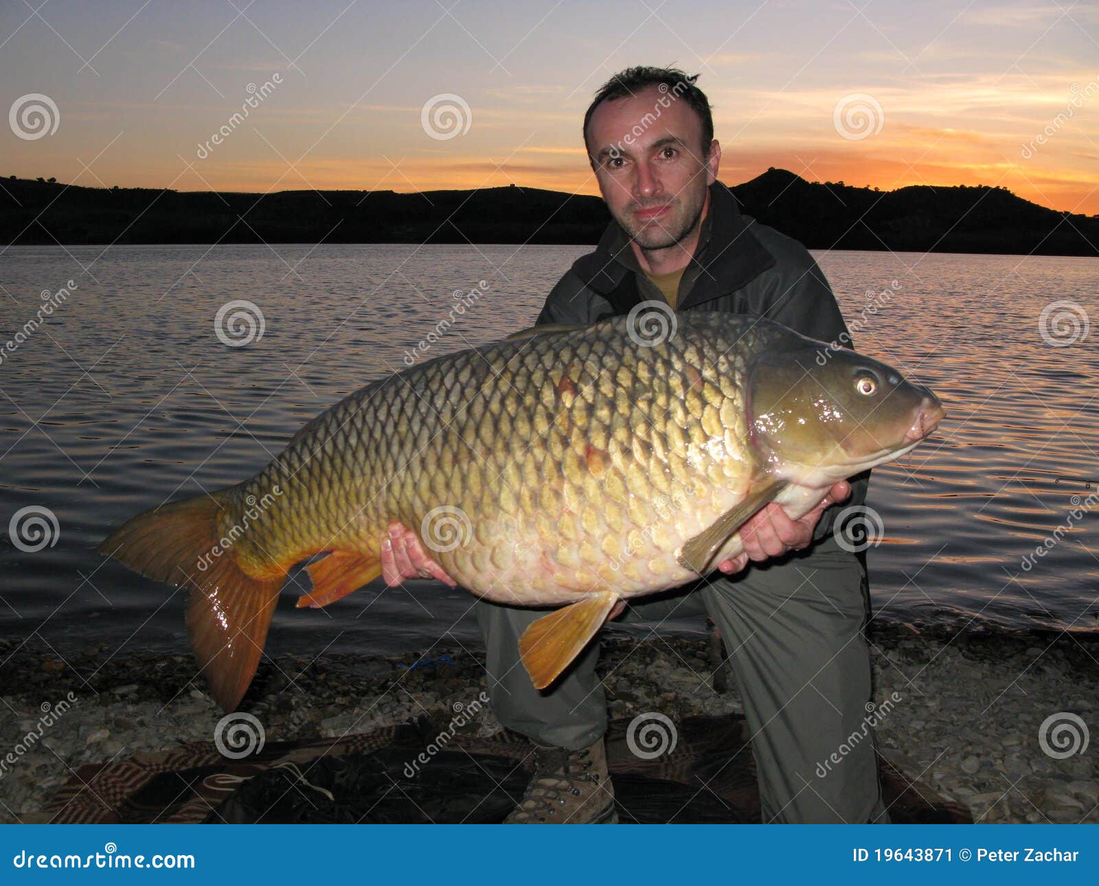 Carp Fishing Angling At Night With Illuminated Alarms Royalty-Free ...