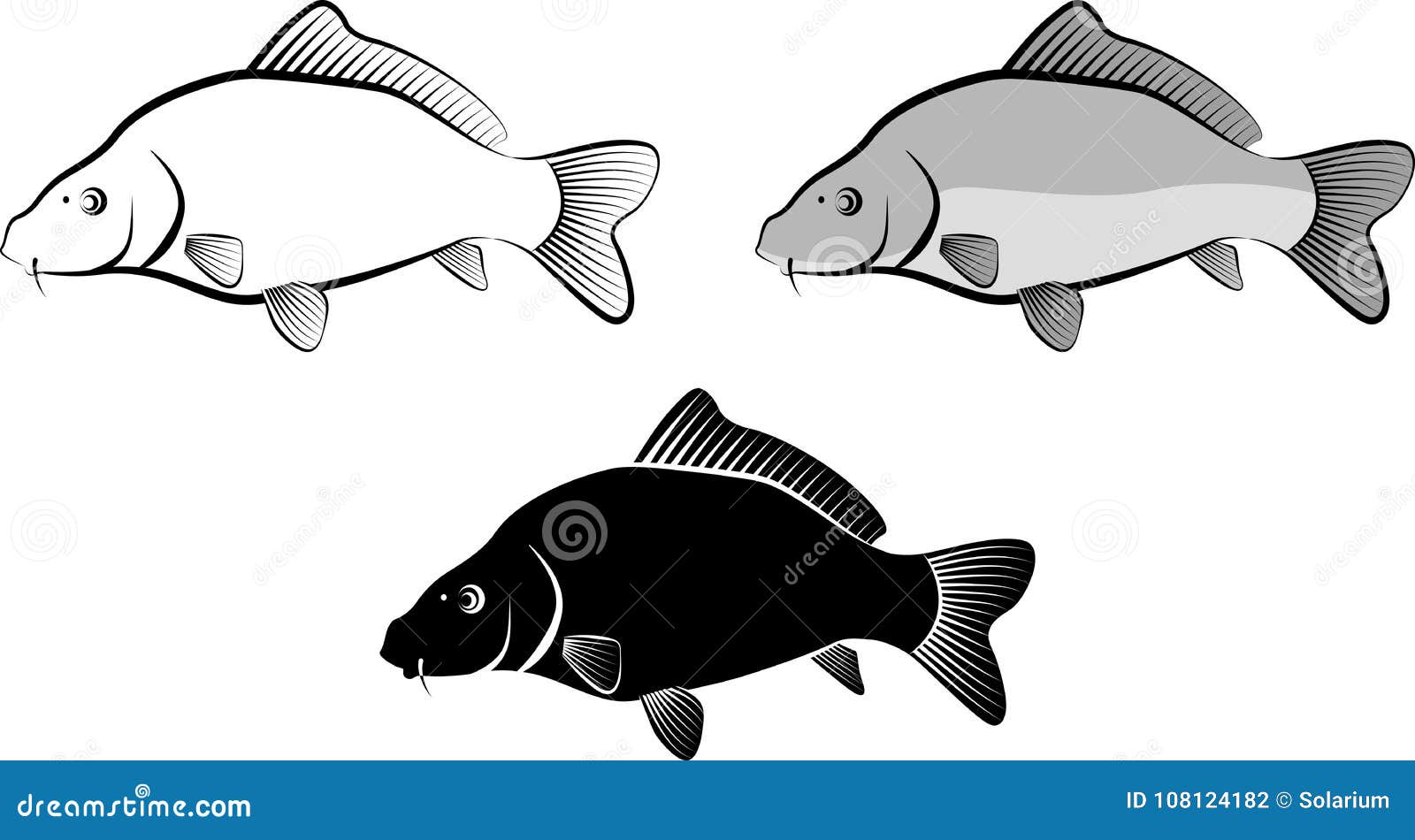 Carp stock vector. Illustration of sketch, cyprinus - 108124182