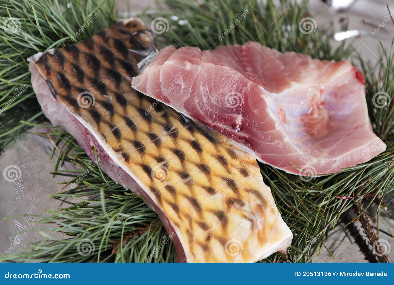 Carp meat portions stock photo. Image of carp, kill, interior - 20513136