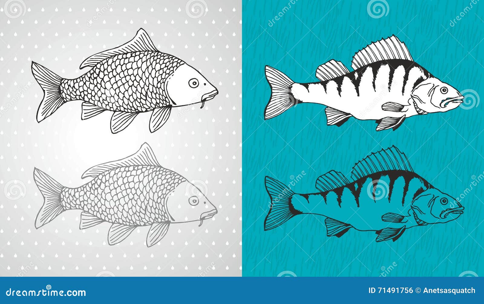 Perch Vector On White Background . Vector Logo | CartoonDealer.com ...