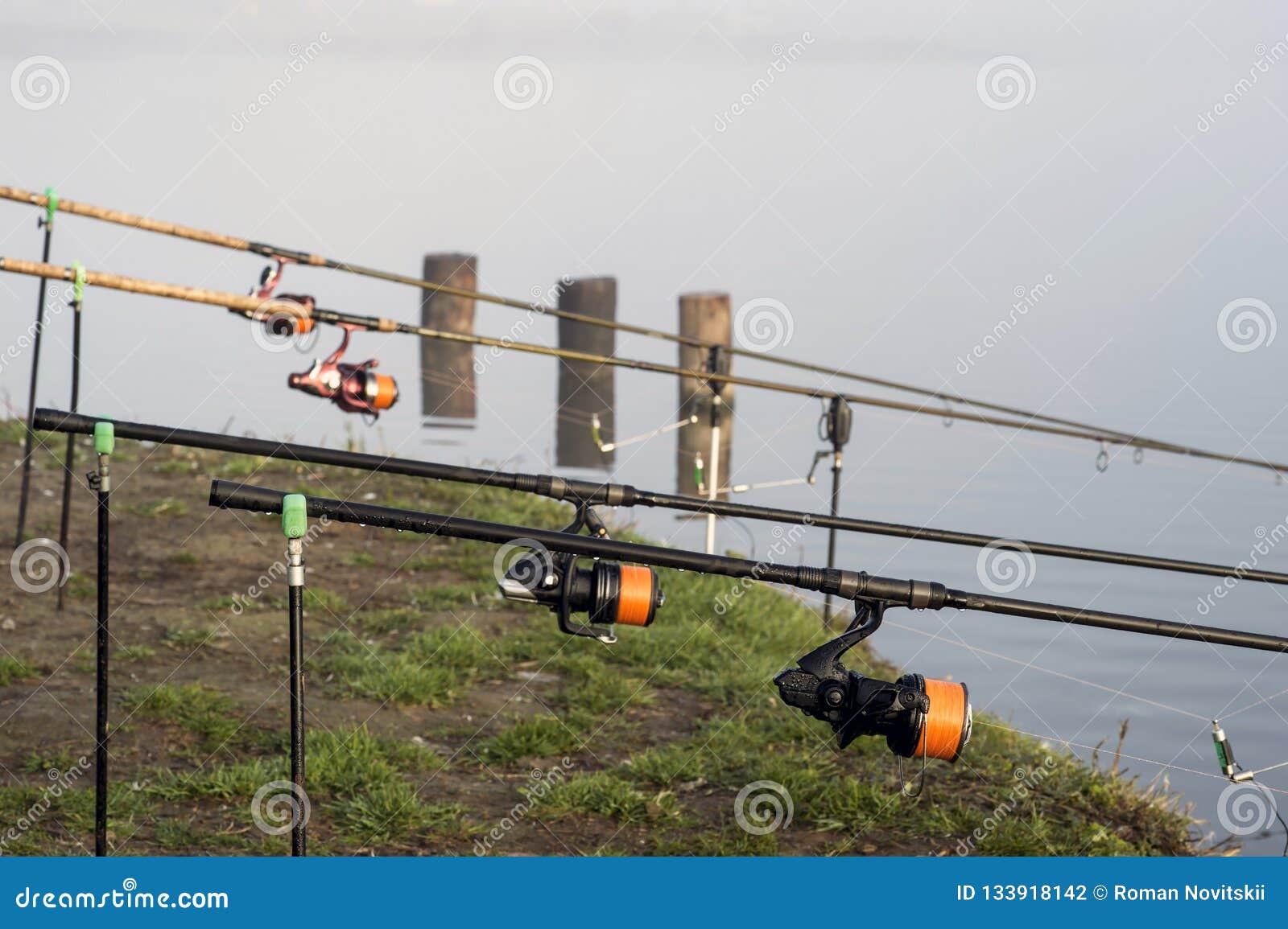 Carp Rods Lined Up in a Row on the Stands with in Anticipation of a ...