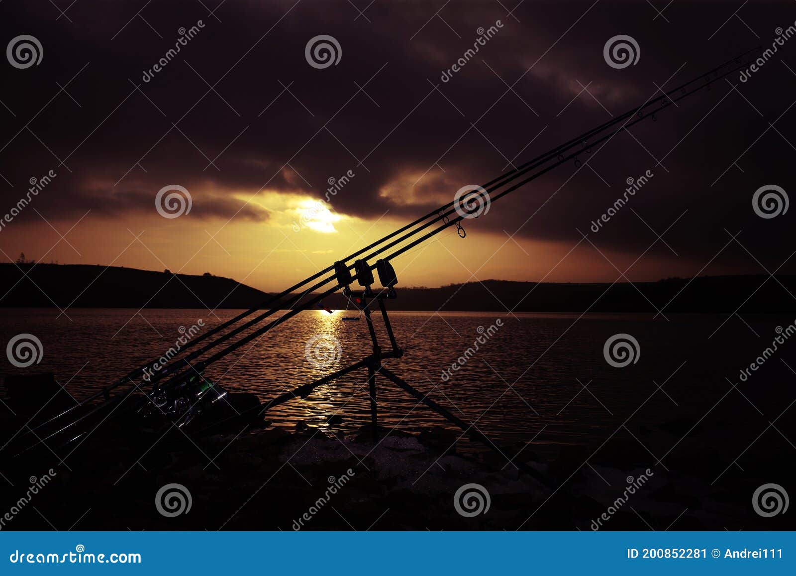 Carp Rods on a Rack on the Shore of the Reservoir Stock Image - Image ...