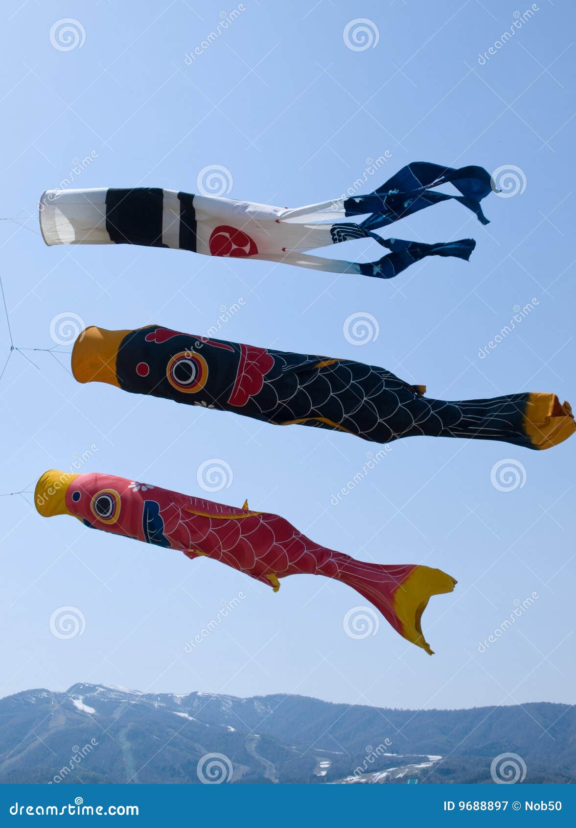 Carp shaped flags stock image. Image of kite, carp, festival - 9688897
