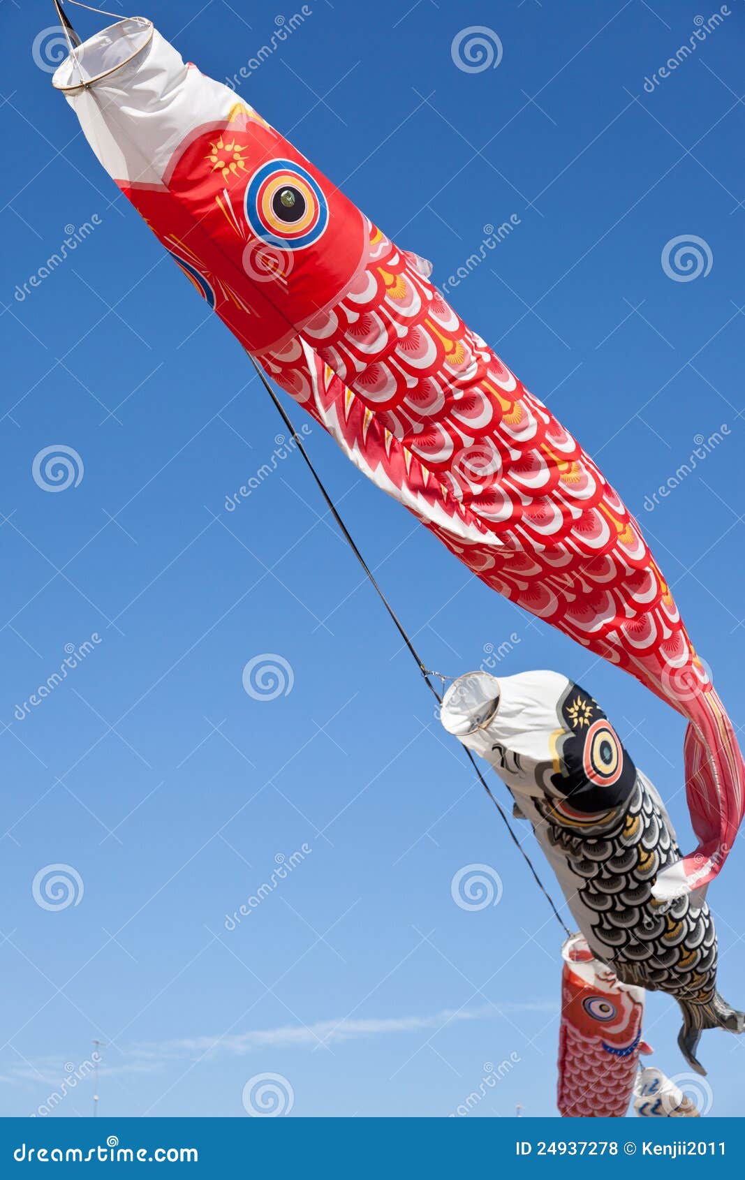 Carp streamer stock photo. Image of asia, festival, adorable - 24937278