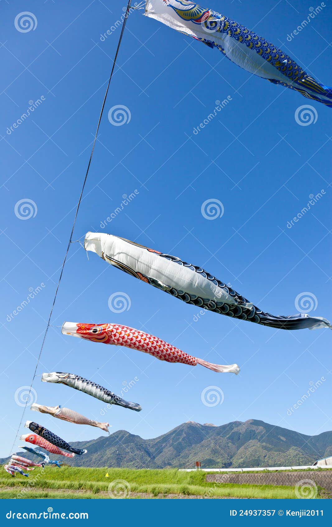 Carp streamer stock image. Image of holiday, culture - 24937357
