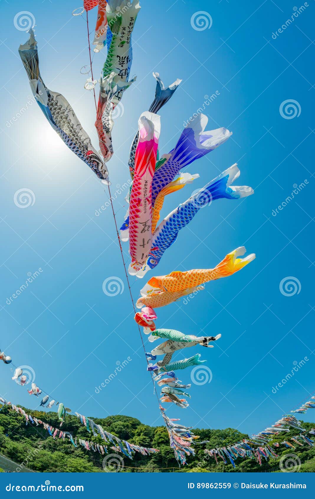 Carp Streamer Above the River Stock Image - Image of outdoor, blue ...