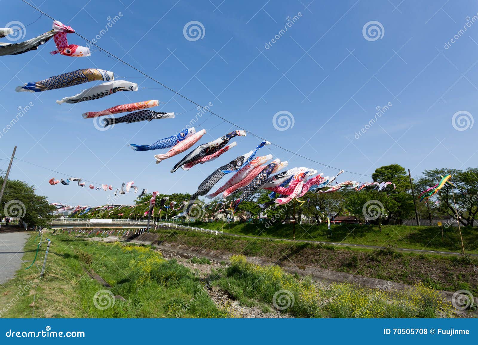 Carp streamer stock photo. Image of holiday, blowing - 70505708
