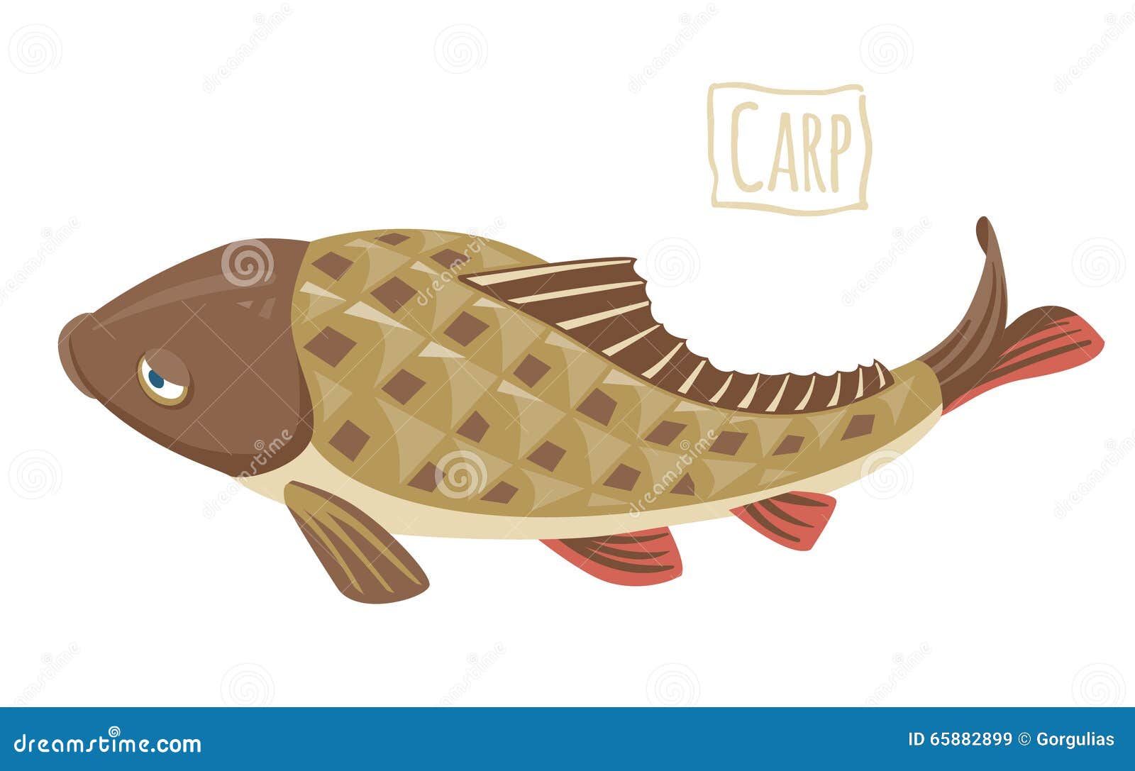 Carp, Vector Cartoon Illustration | CartoonDealer.com #65882899