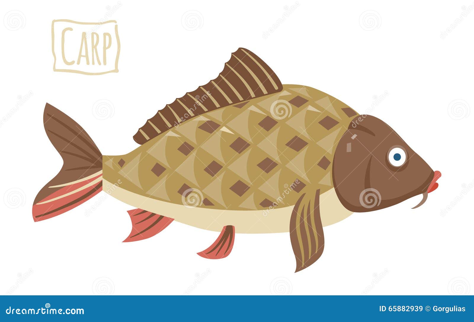 Carp, Vector Cartoon Illustration Stock Vector - Illustration of white ...