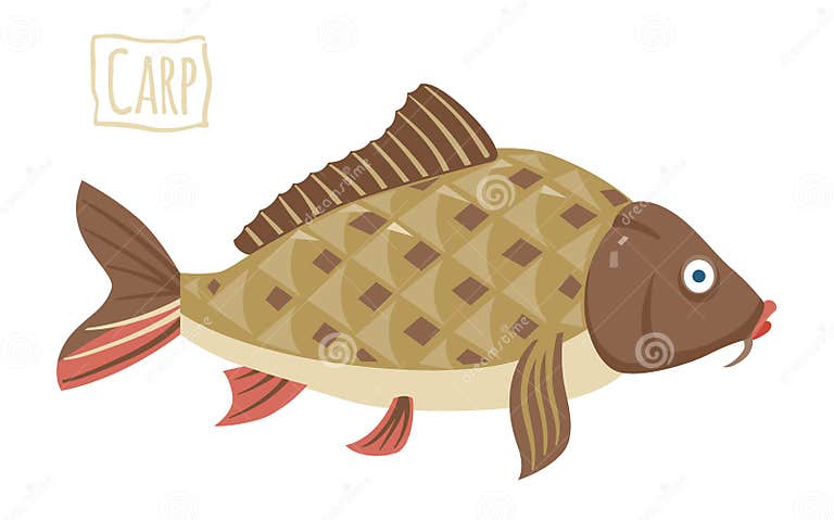 Carp, Vector Cartoon Illustration Stock Vector - Illustration of white ...