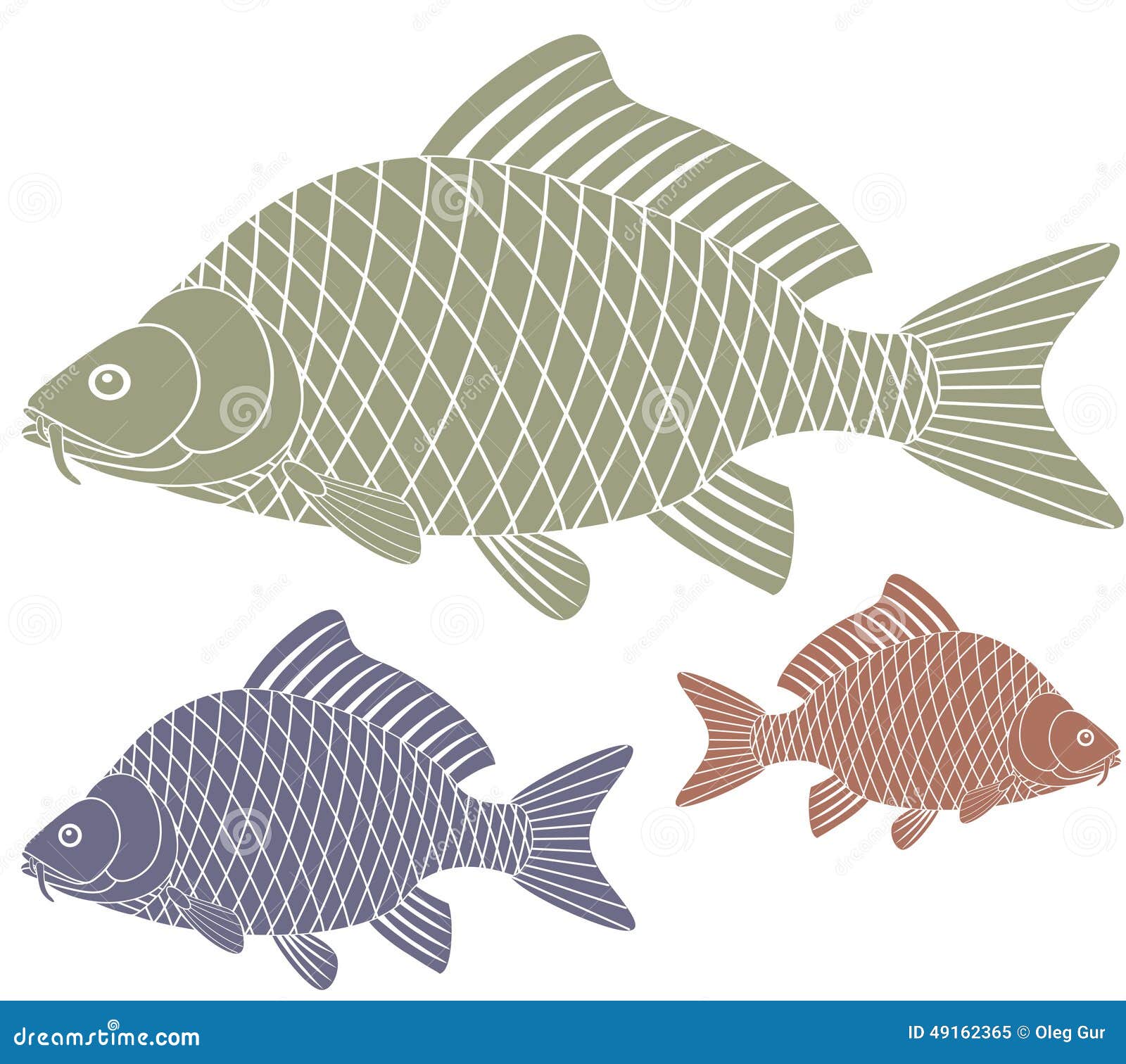 Carp stock vector. Illustration of lake, carp, blue, abstract - 49162365