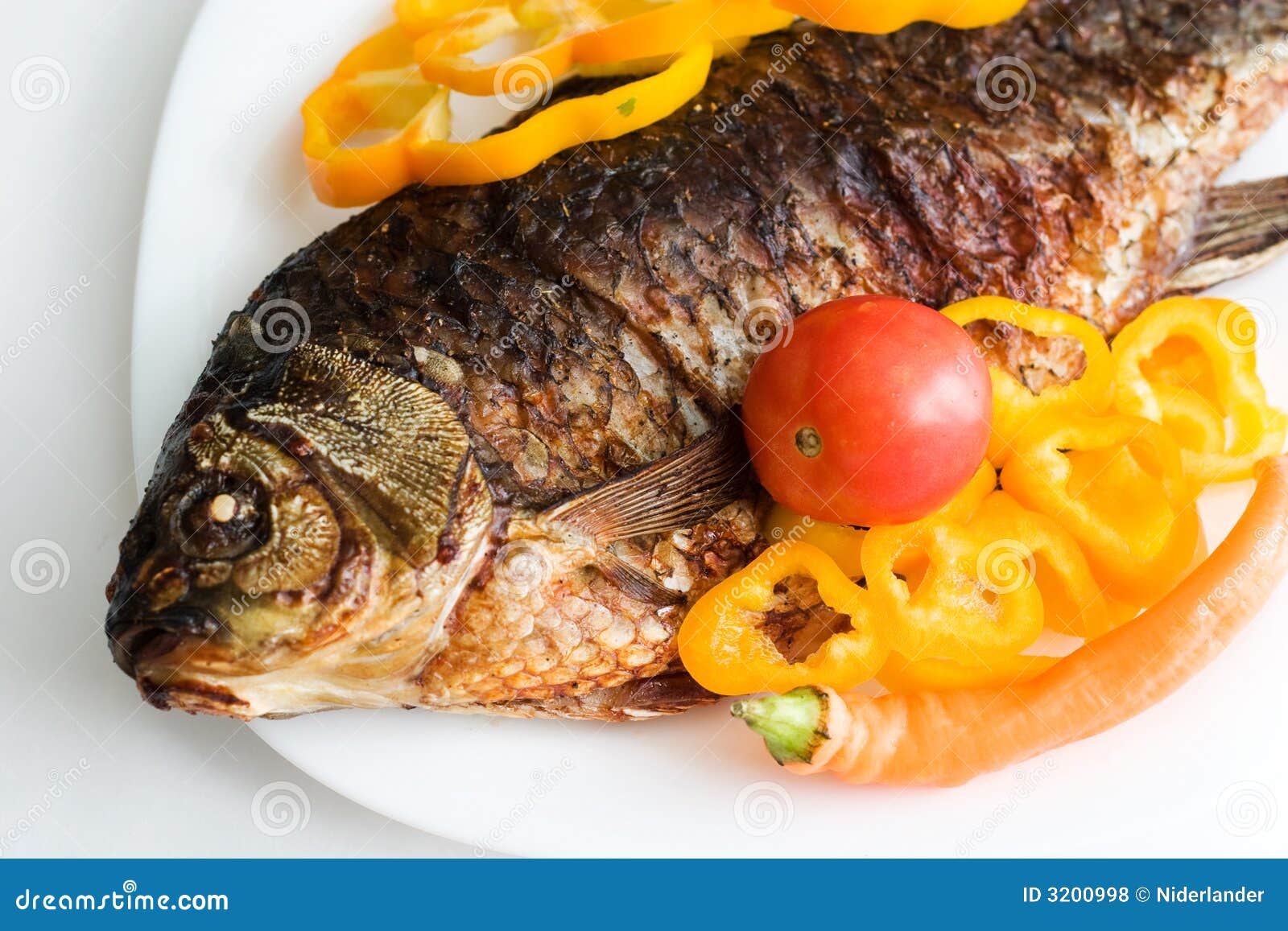 Carpa asada a la parilla foto de archivo. Imagen de cierre - 3200998