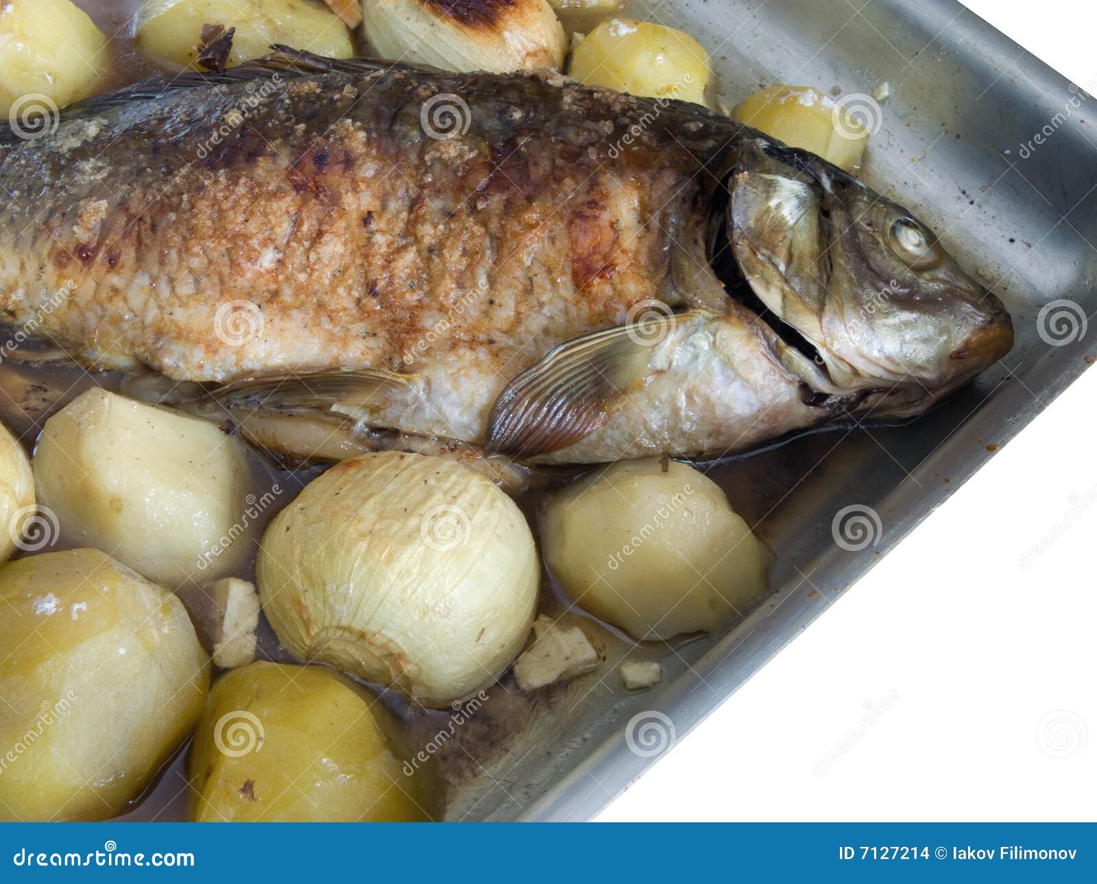 Carpa asada a la parilla foto de archivo. Imagen de coma - 7127214