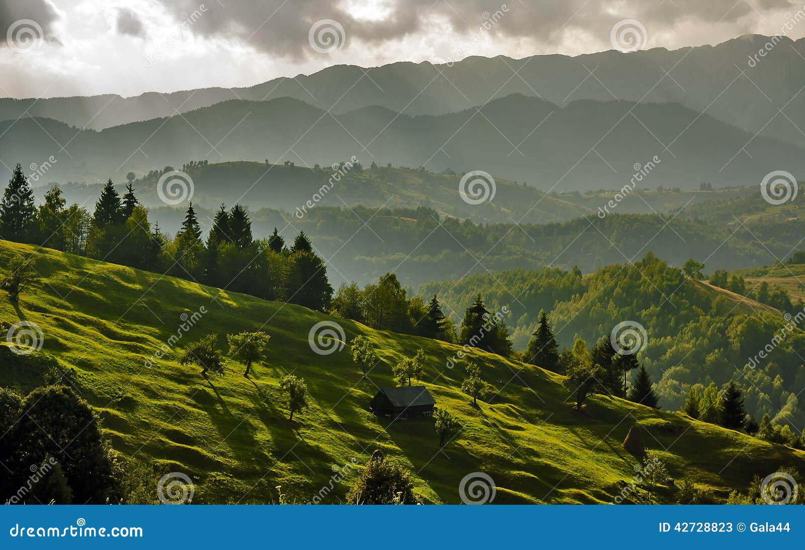 Carpathian Mountains stock image. Image of skyline, prahova - 42728823