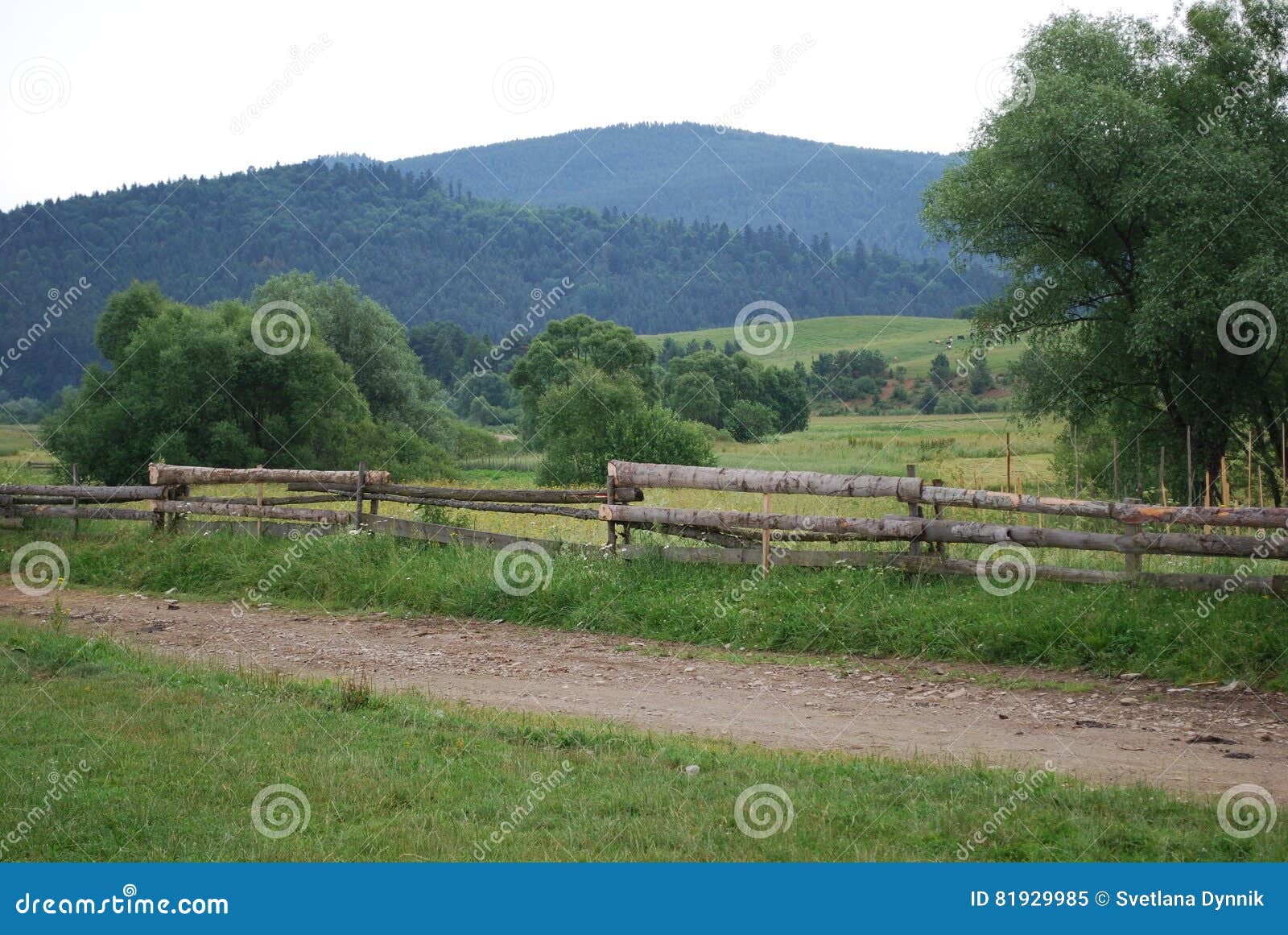 Carpathians stock image. Image of summer, nature, forest - 81929985