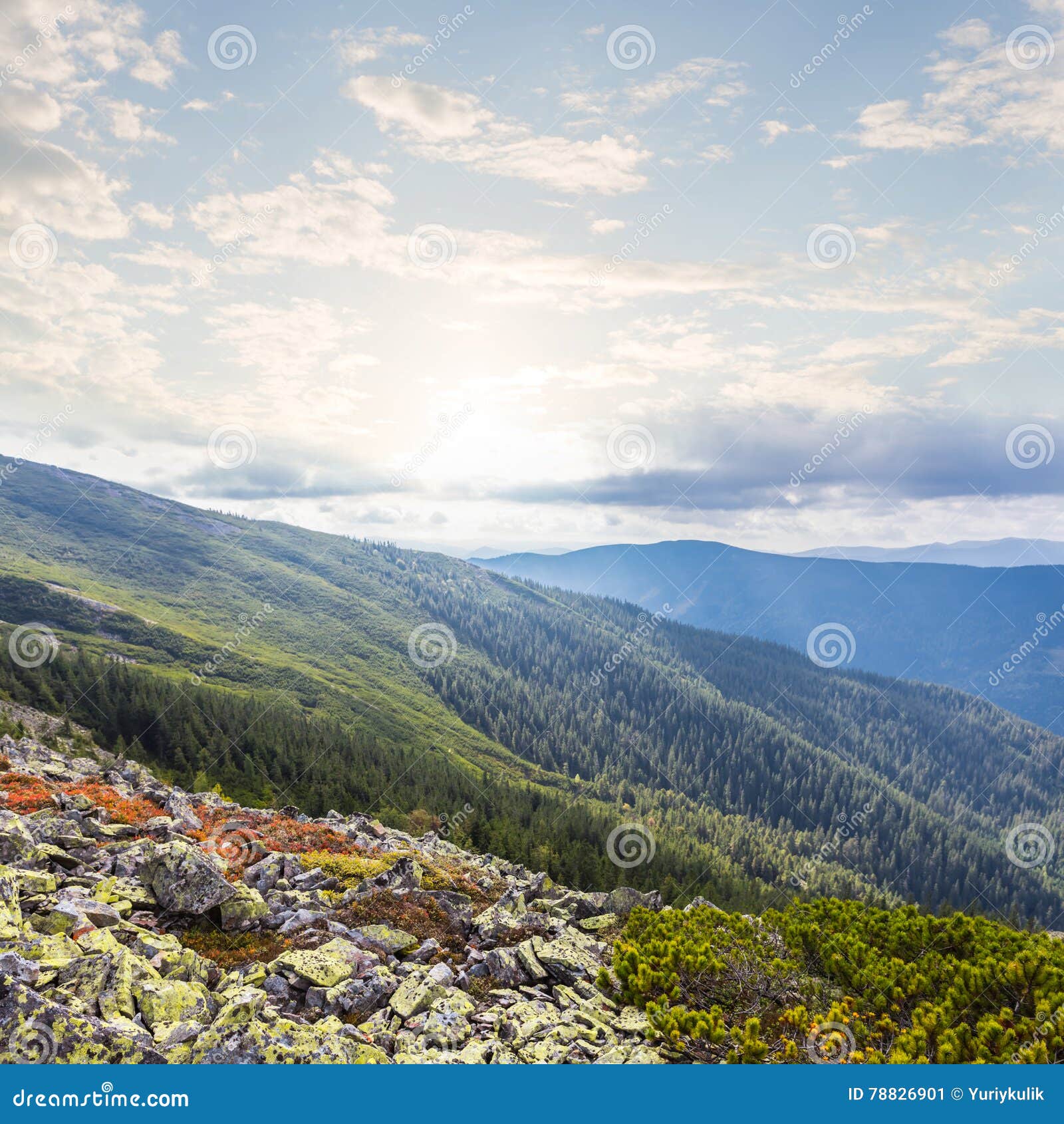 Carpathians Mountain Valley Scene Stock Image - Image of bright ...