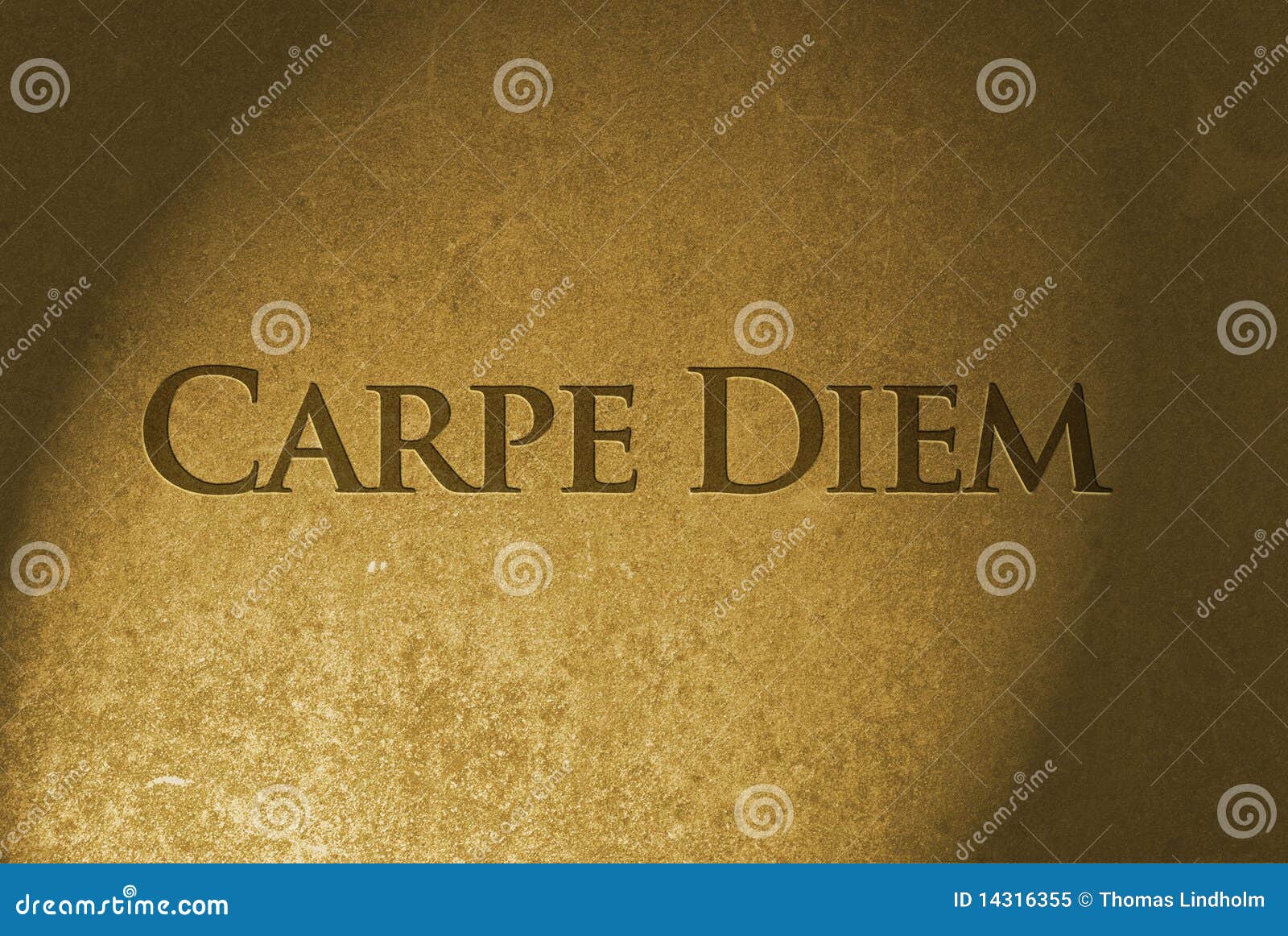 Carpe Diem stock illustration. Illustration of text, typography - 14316355