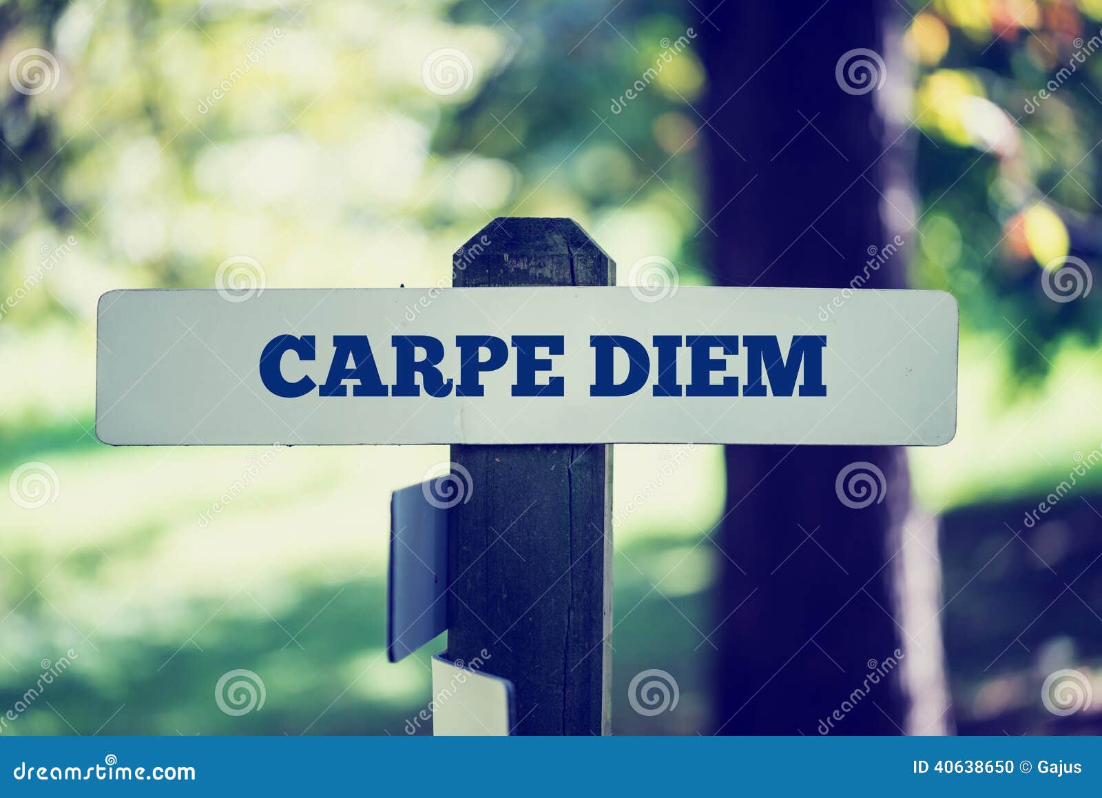 Carpe Diem photo stock. Image du rétro, expression, message - 40638650